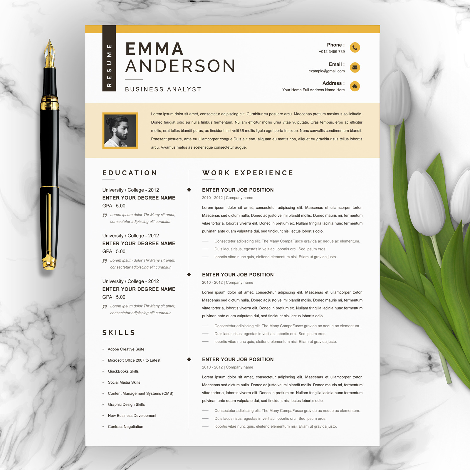 Emma Anderson / Resume Template #234084 - TemplateMonster
