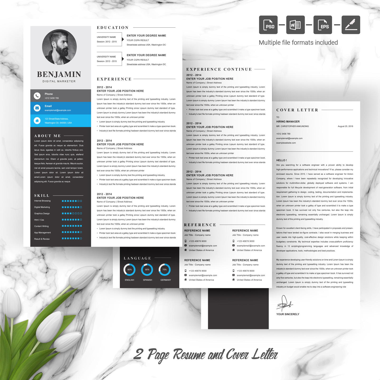 Benjamin / Professional Resume #195144 - TemplateMonster