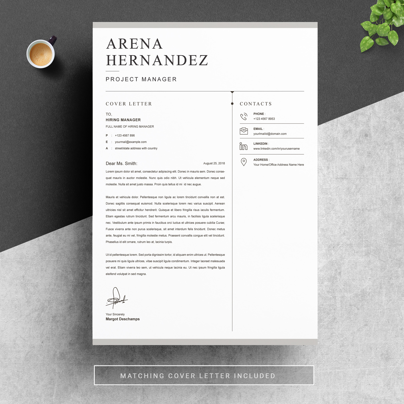 Arena / Clean CV Template #232011 - TemplateMonster