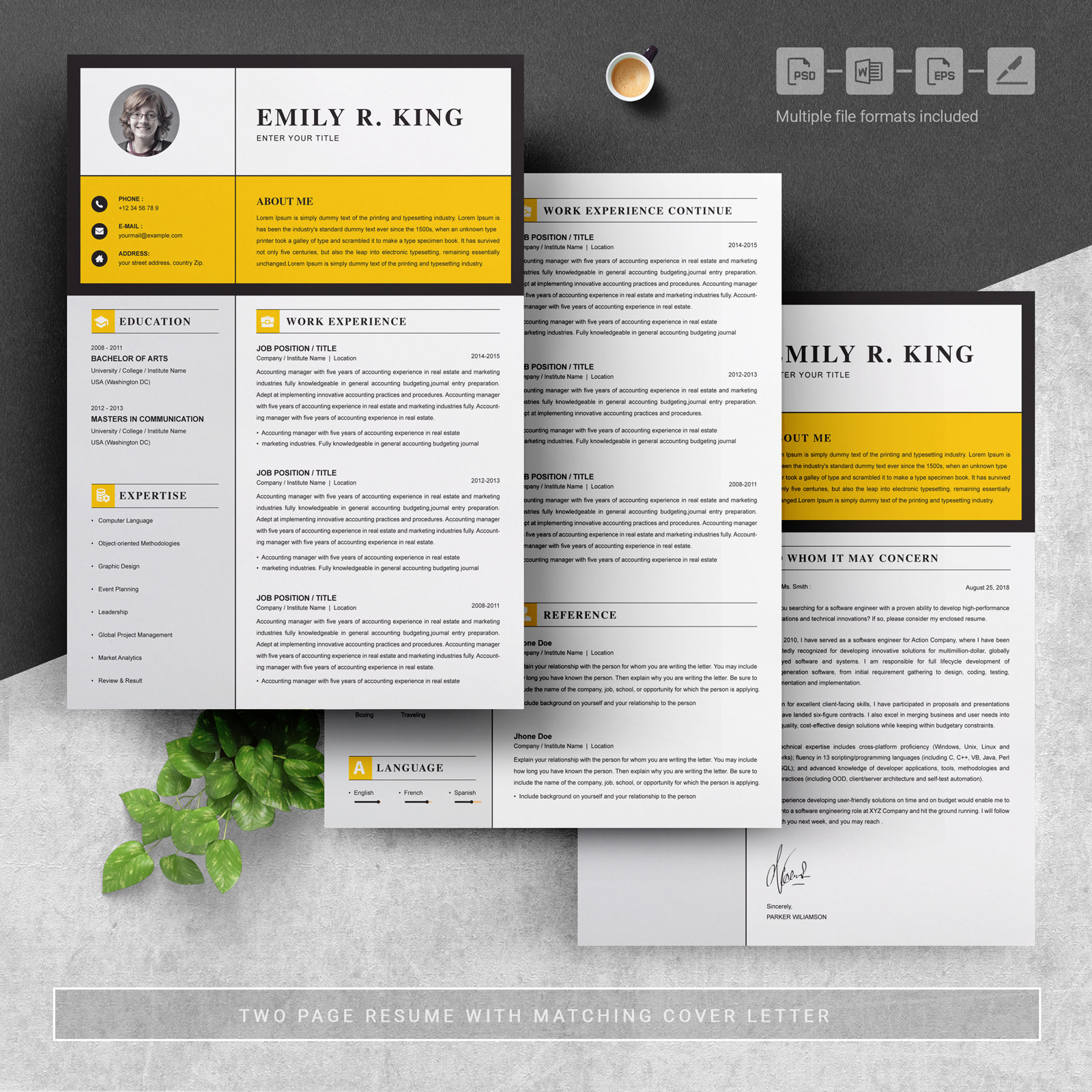 Emily r. king / CV Template #198846 - TemplateMonster