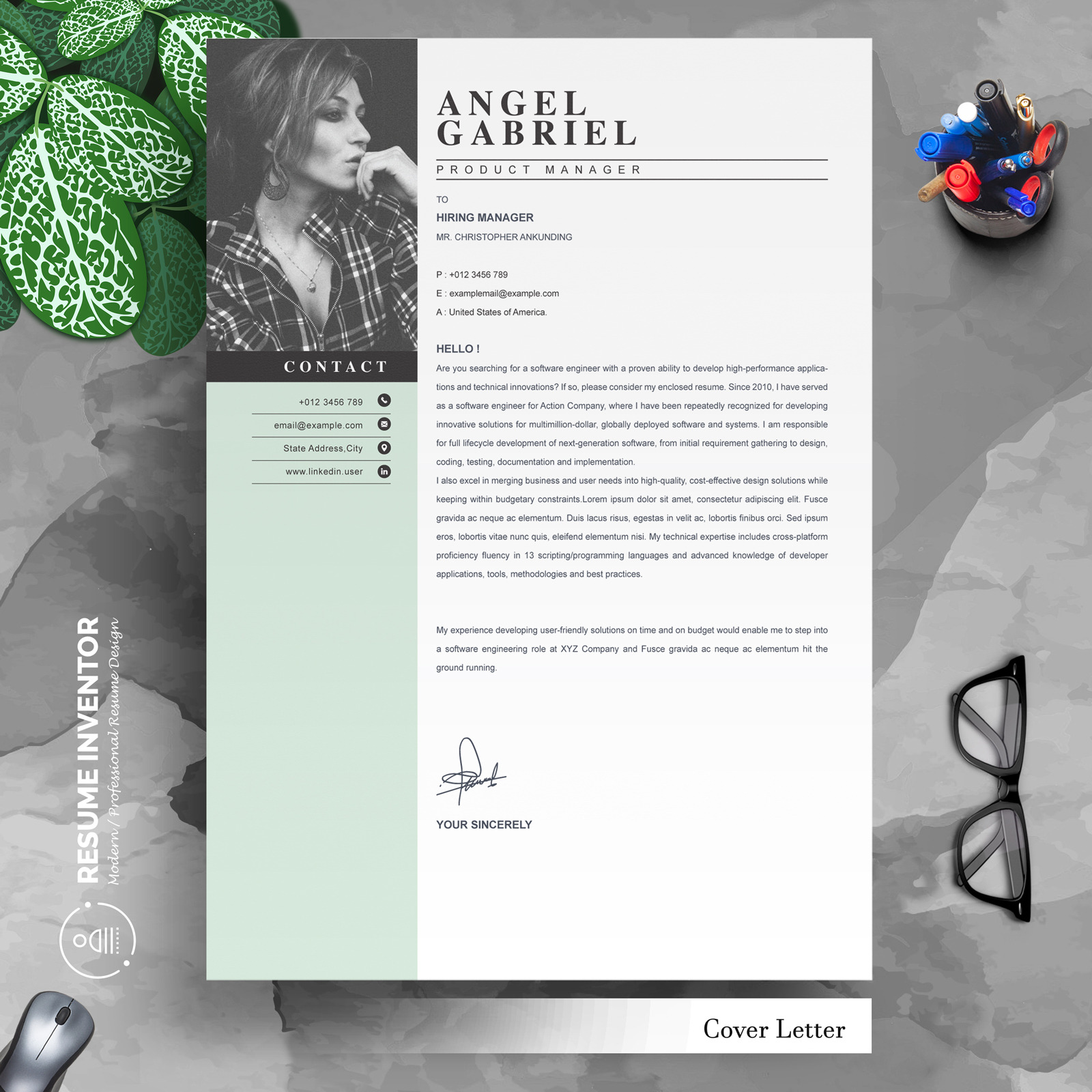 Angel / Professional Resume Template - TemplateMonster