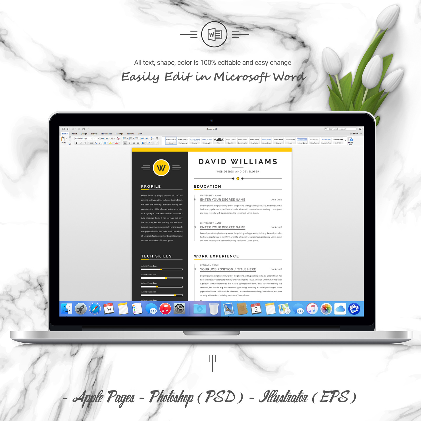 David Williams / CV Template #218143 - TemplateMonster