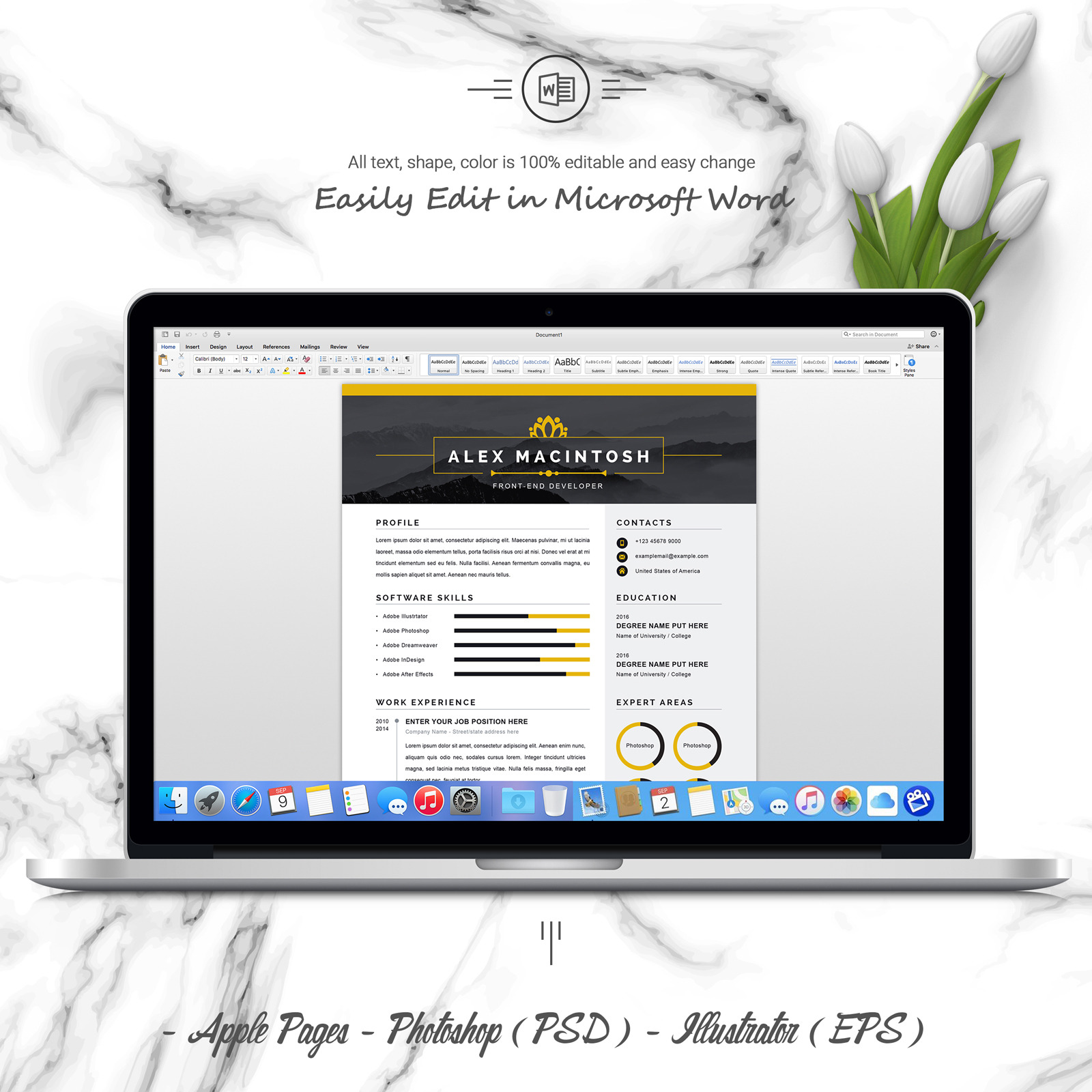 Alex / CV Template Printable Resume Templates