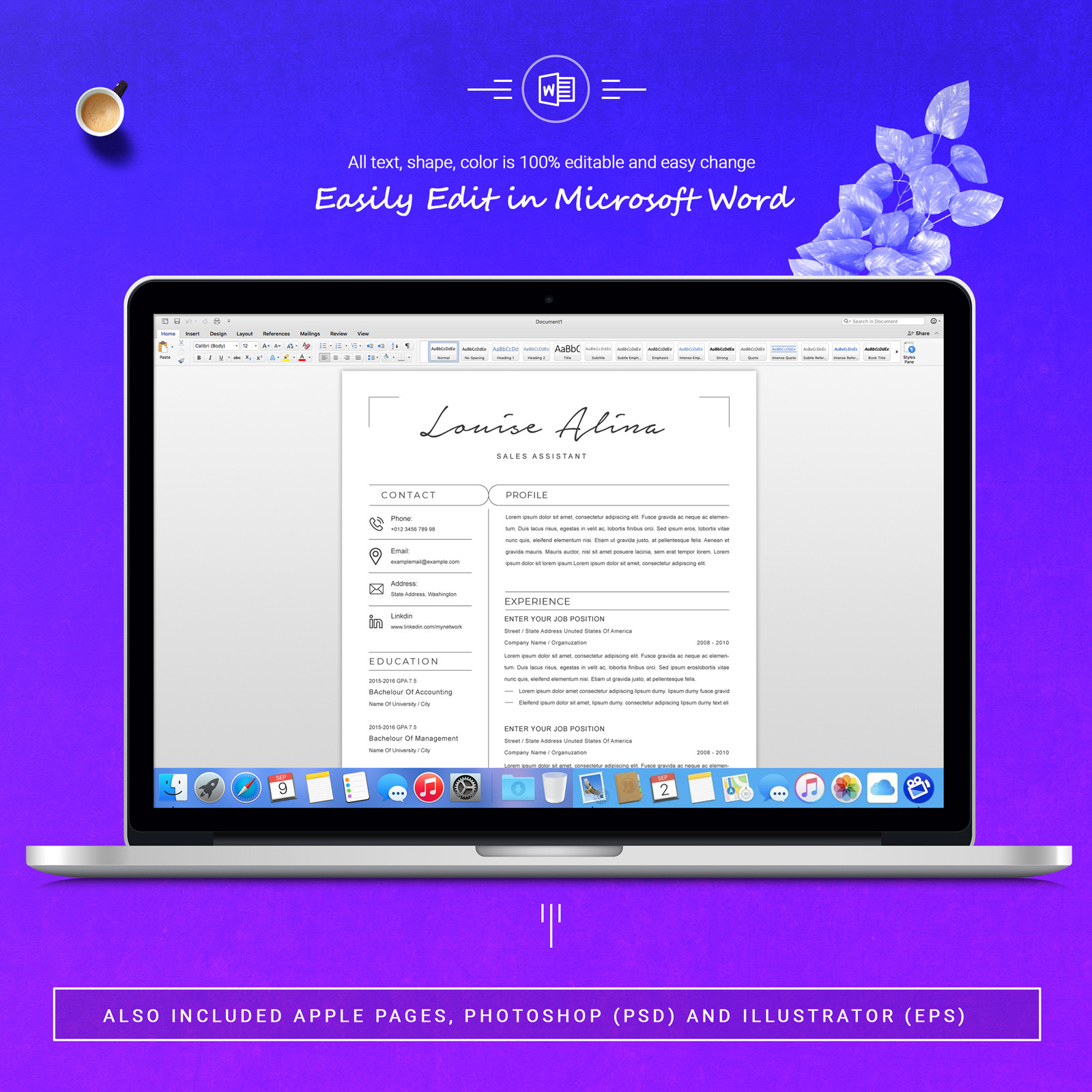 Alina / Clean Resume Template #224841 - TemplateMonster