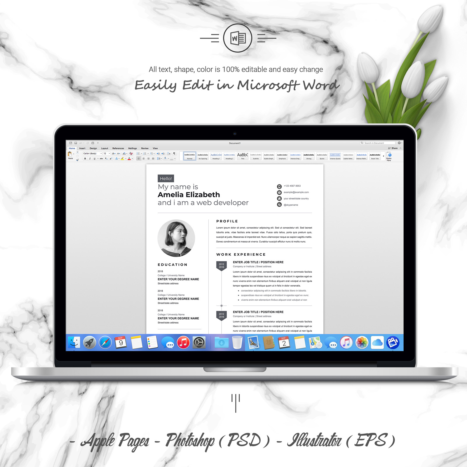 AMELIA / Professional Resume Template - TemplateMonster