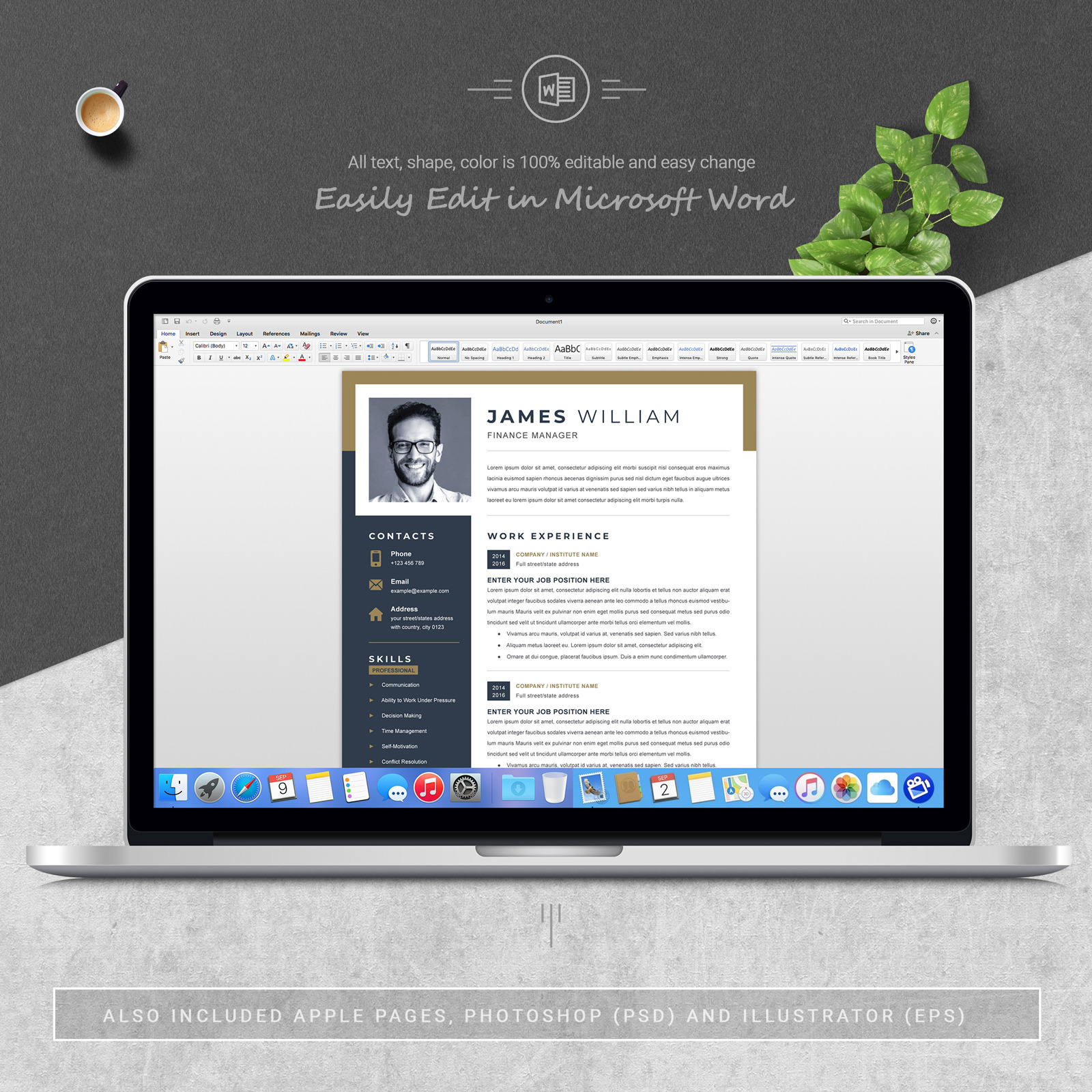 James William Printable Resume Templates - TemplateMonster