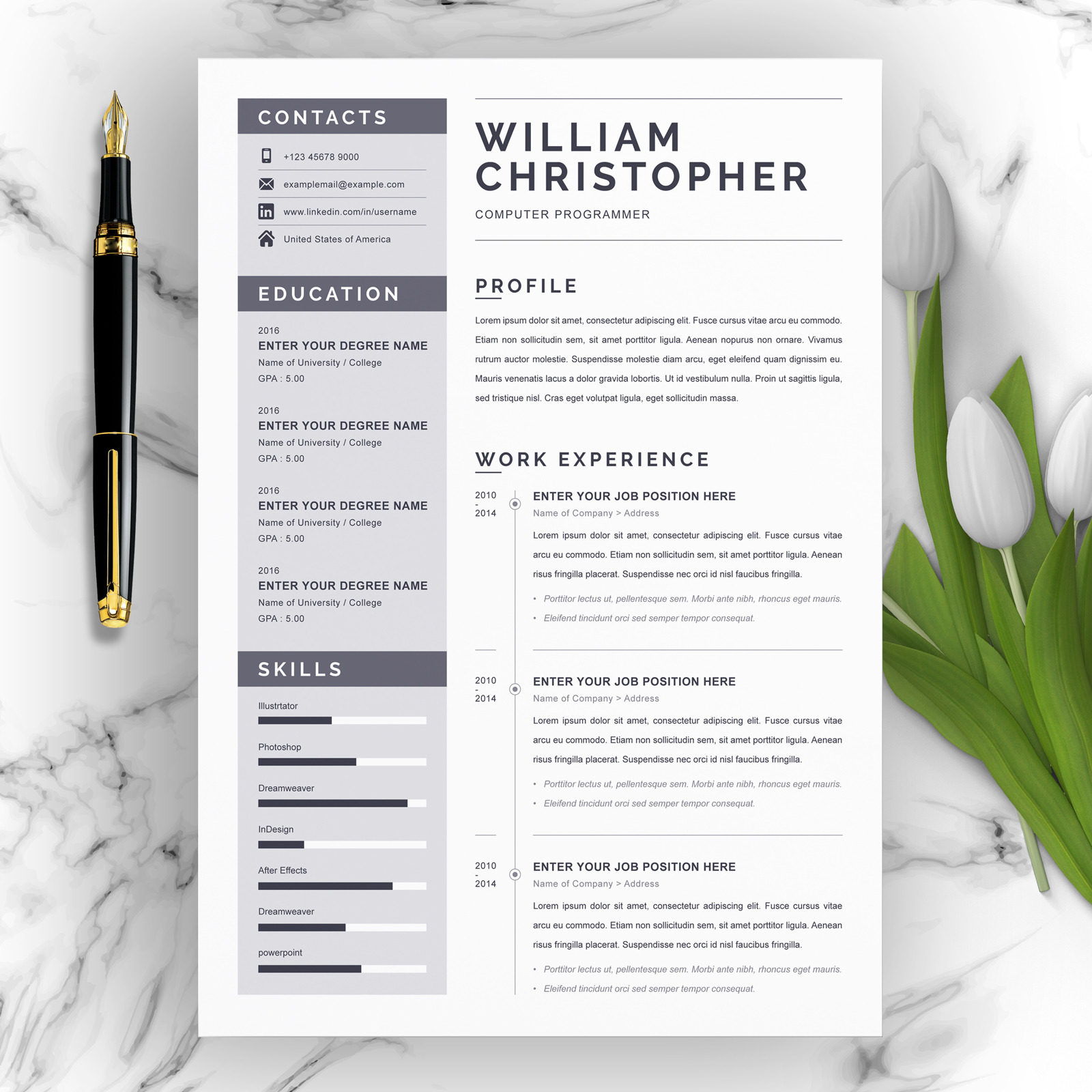 Christopher / Modern Resume #221876 - TemplateMonster