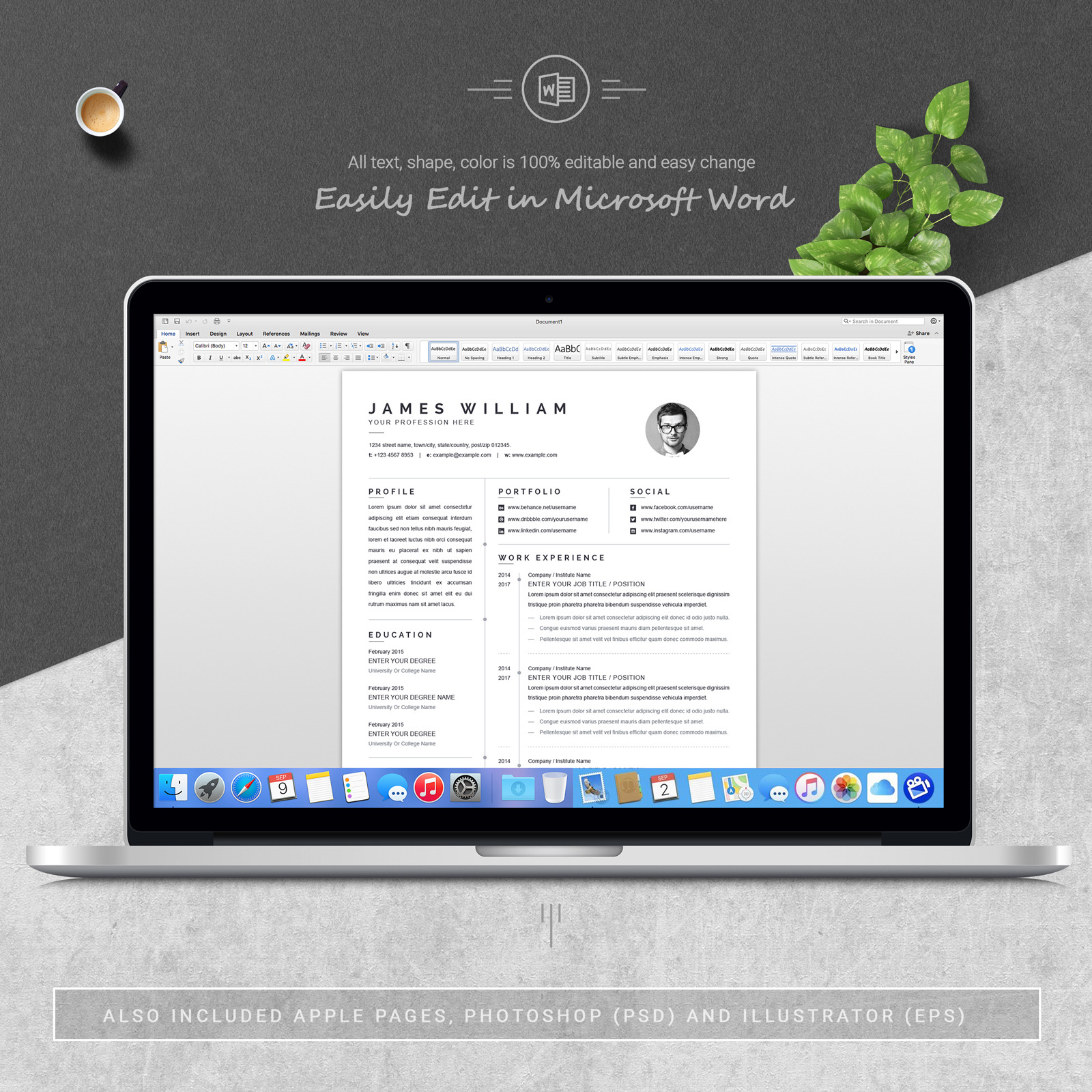 James / CV Template Printable Resume Templates