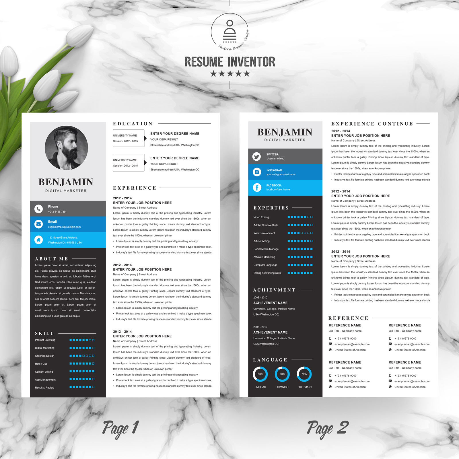 Benjamin / Professional Resume #195144 - TemplateMonster