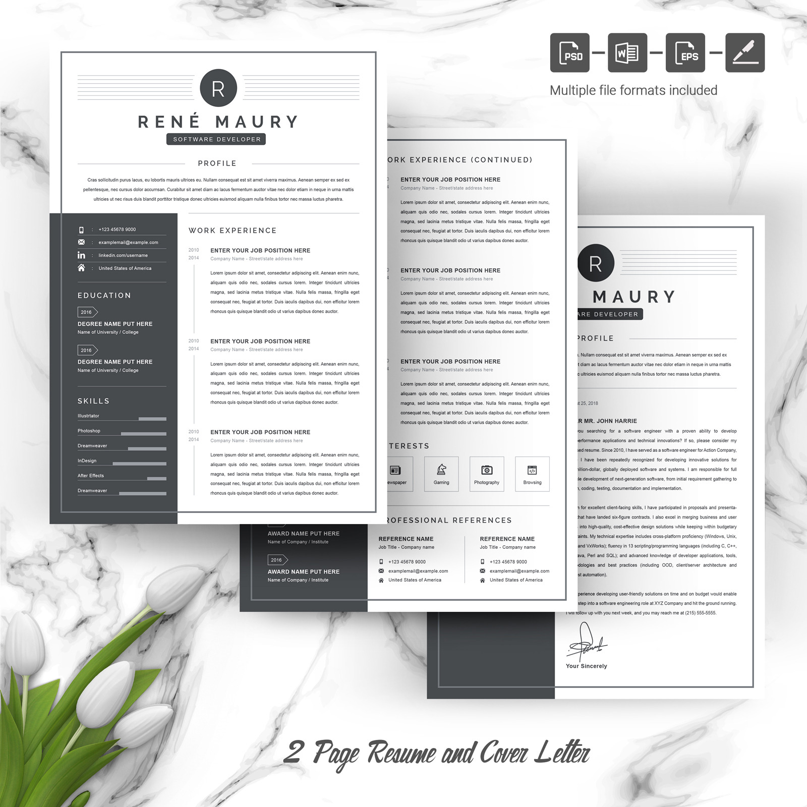 Rene / CV Template Printable Resume Templates