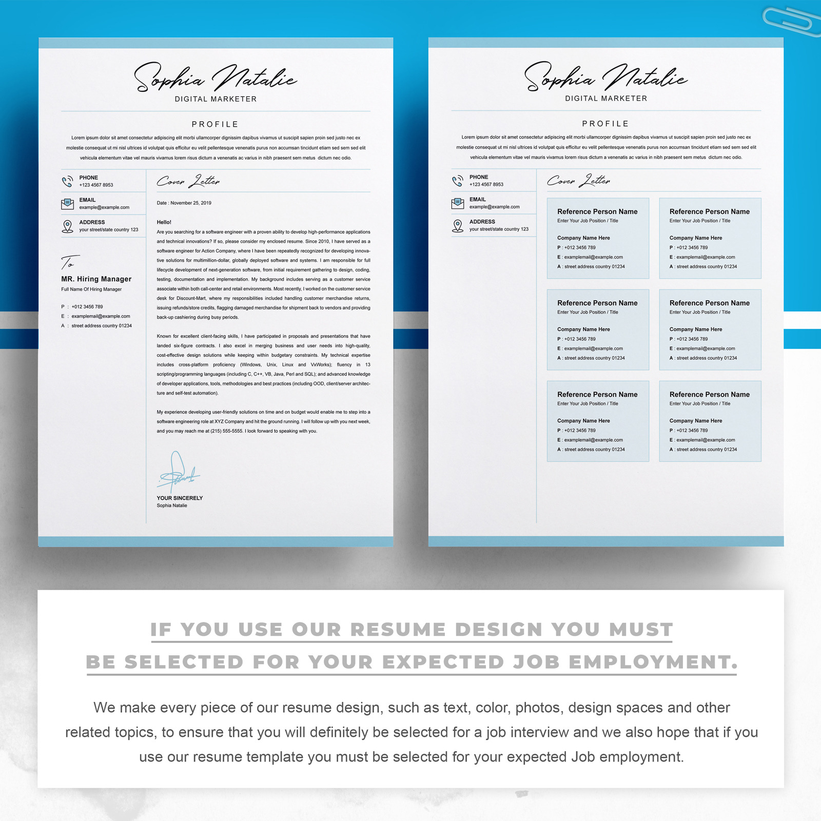 Sophia Natalie / Resume Template #192825 - TemplateMonster
