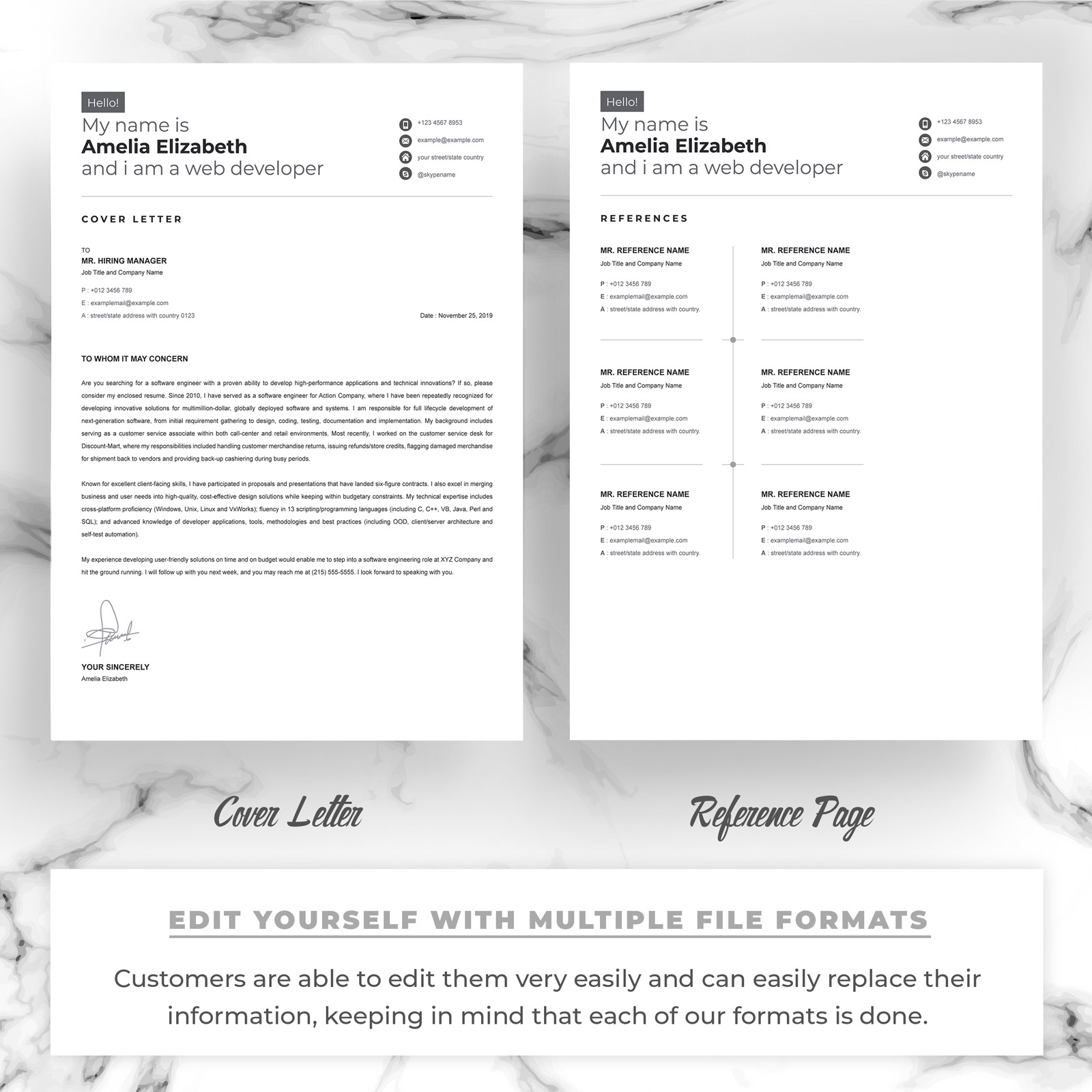 AMELIA / Professional Resume Template - TemplateMonster
