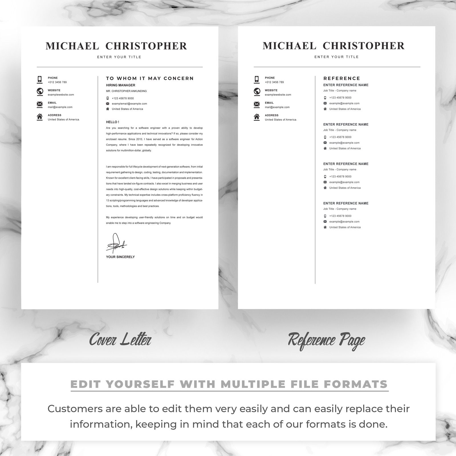 Michael / CV Resume Template #230848 - TemplateMonster