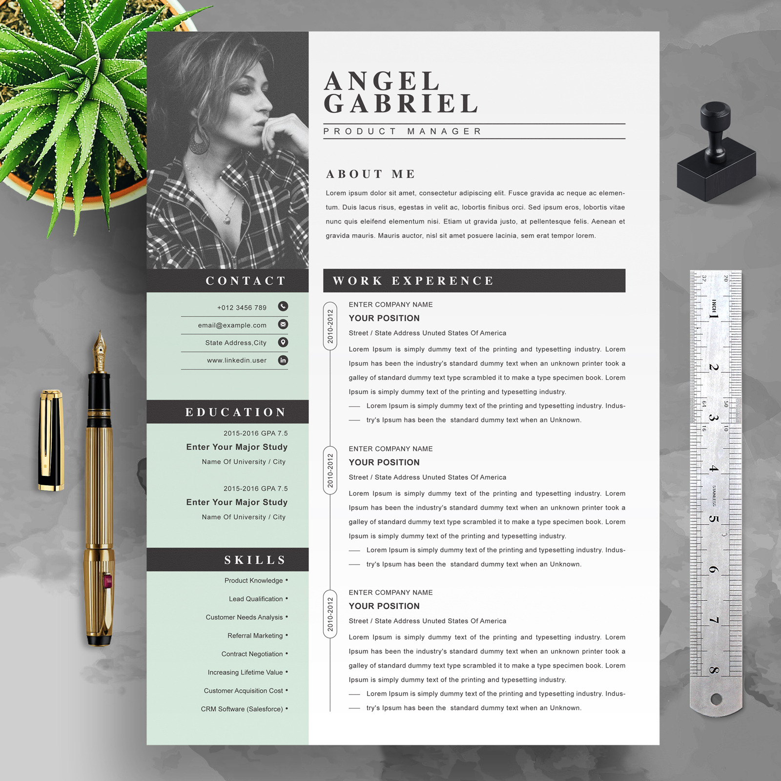 Angel / Professional Resume Template - TemplateMonster