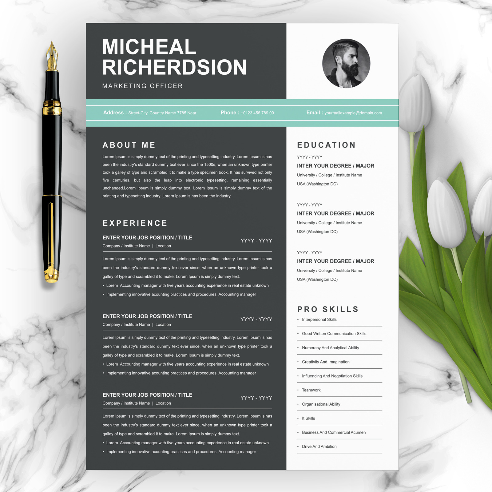 Micheal / Professional CV Template #201268 - TemplateMonster