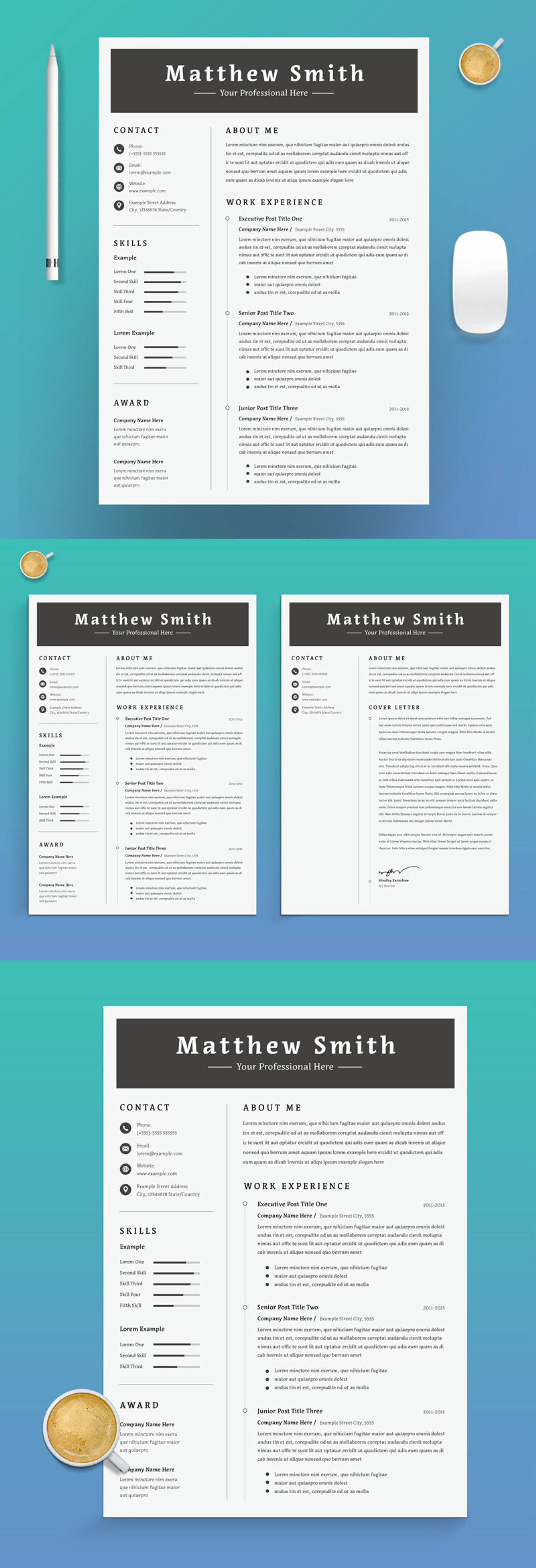 Clean and Professional Resume and CV Layout - TemplateMonster