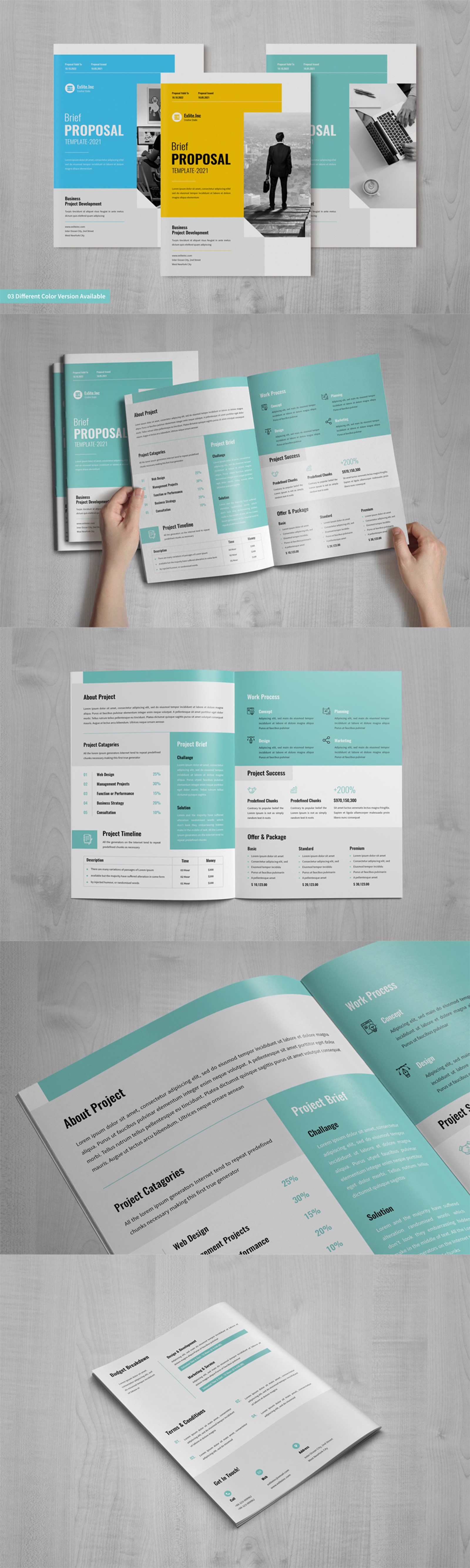Business Brief Proposal Template #369048 - TemplateMonster