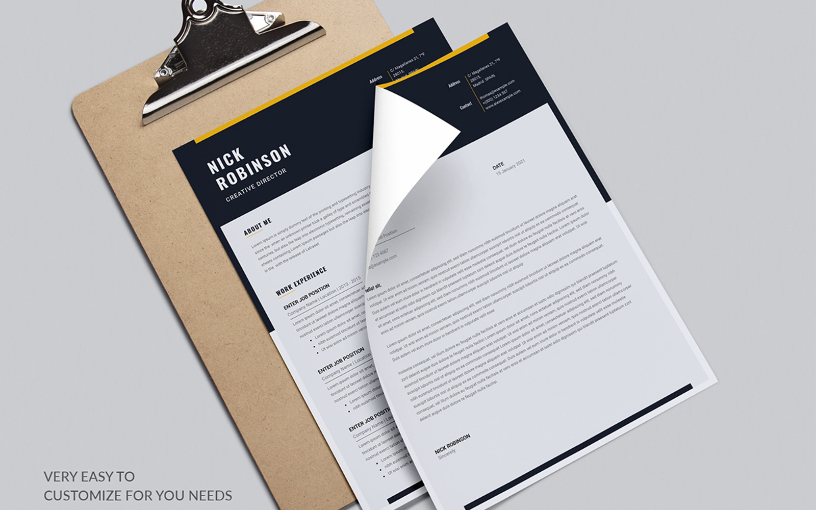 Nick Robinson Resume CV Template #225689 - TemplateMonster