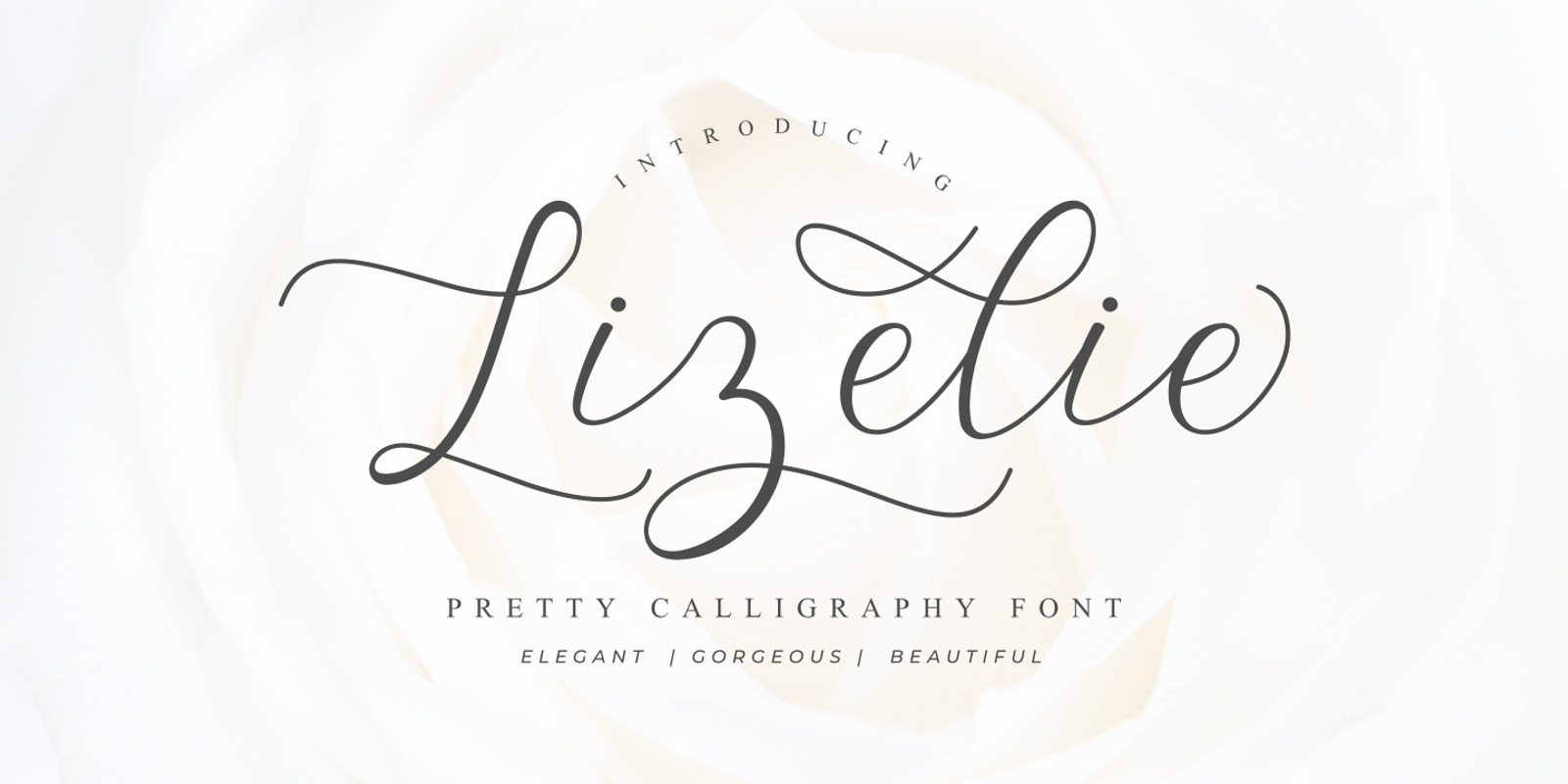 Lizelie Calligraphy Script Font #222968 - TemplateMonster