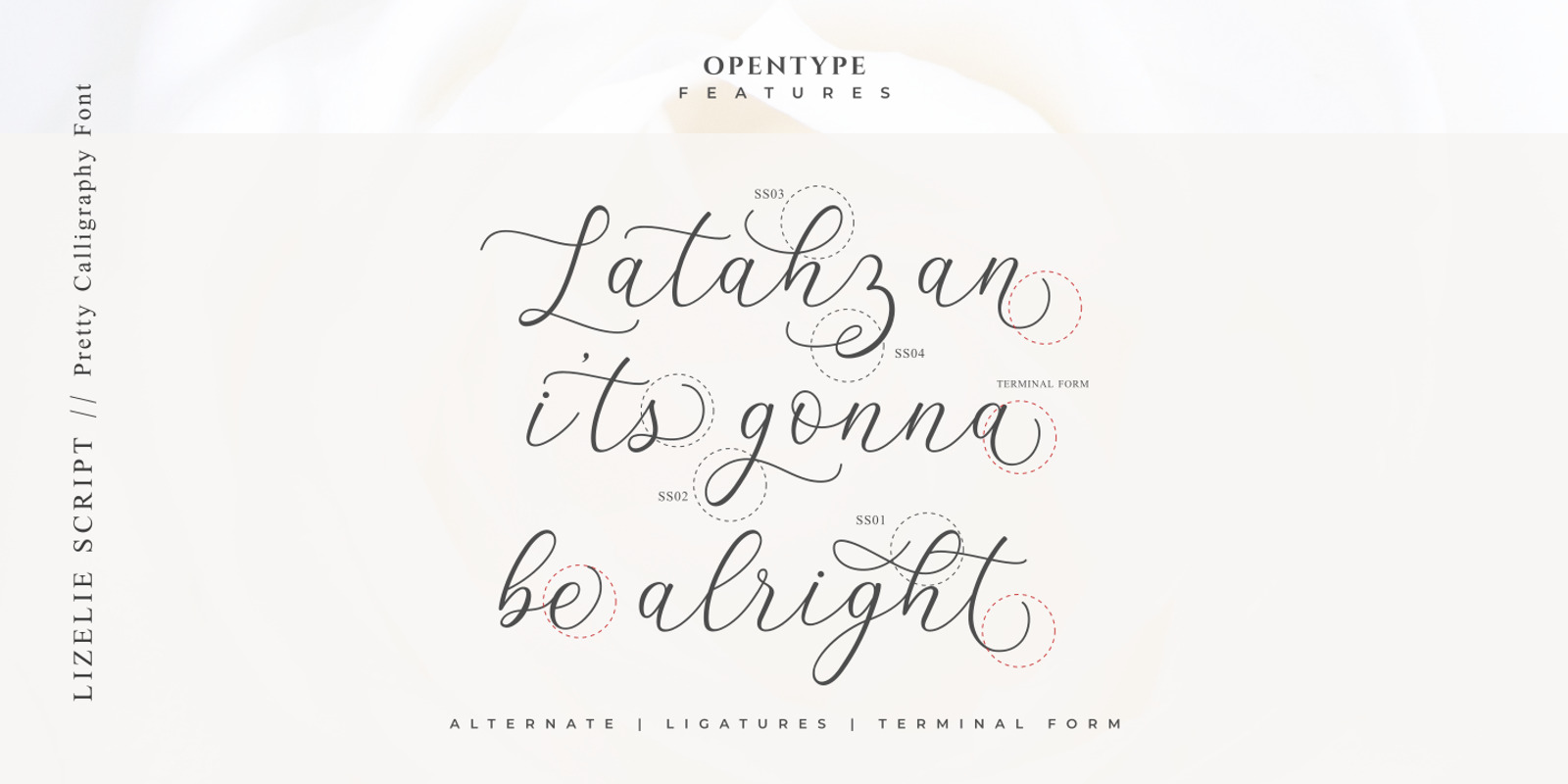 Lizelie Calligraphy Script Font #222968 - TemplateMonster