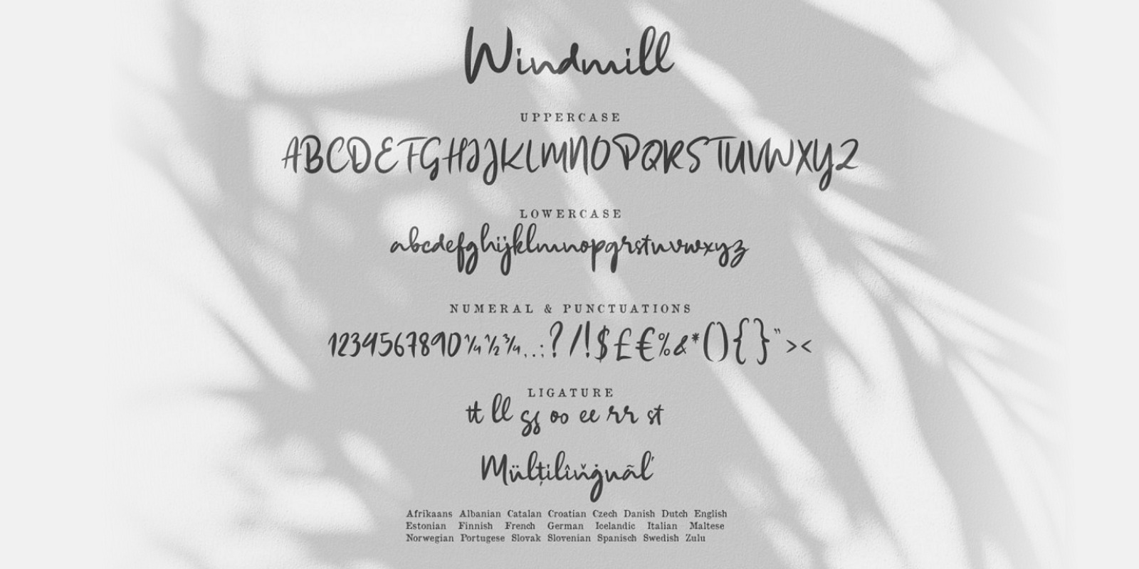 Windmill Script Elegant Font #197726 - TemplateMonster