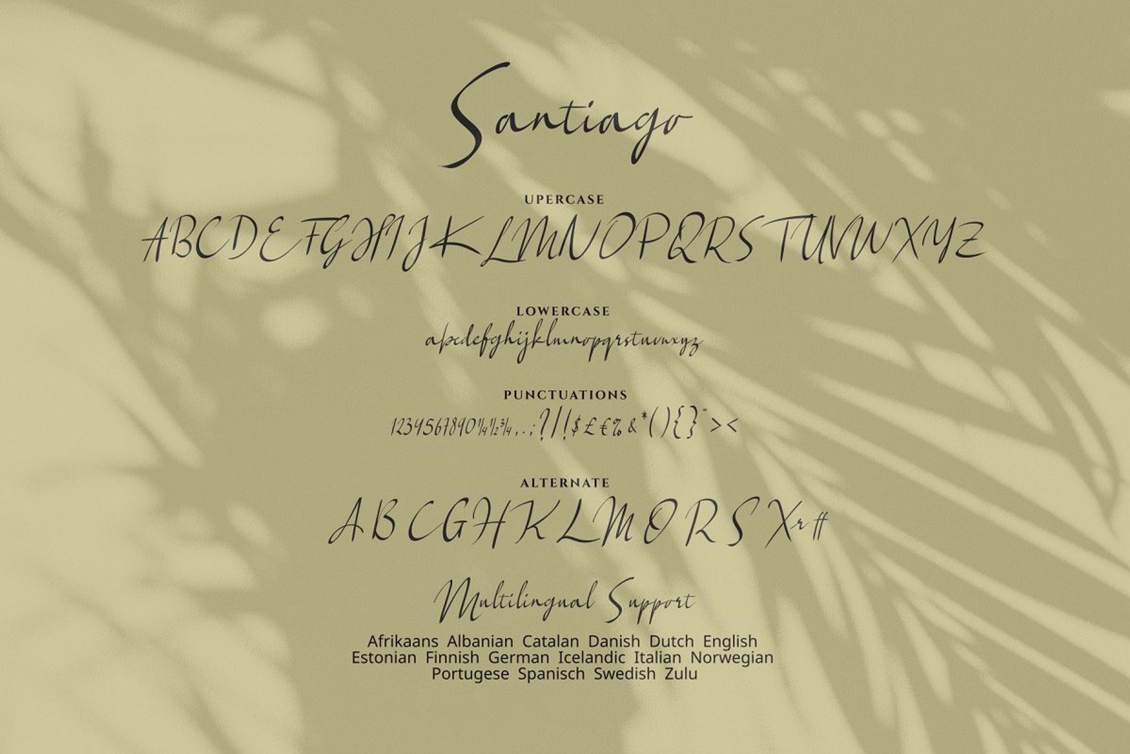 Santiago // Elegant Font #203024 - TemplateMonster
