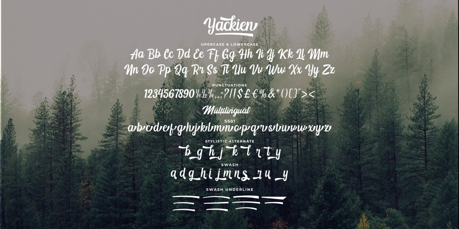Yackien Script // Logo Font #197725 - TemplateMonster