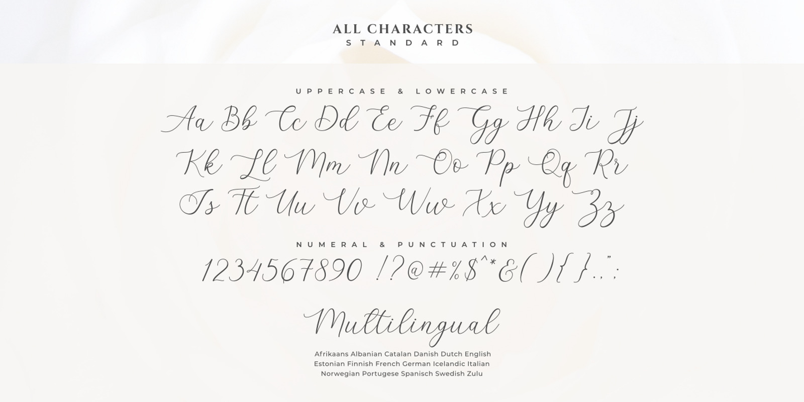 Lizelie Calligraphy Script Font #222968 - TemplateMonster