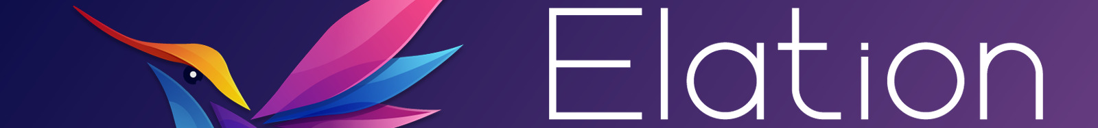 Elation - Colorful Gradient Hummingbird Logo Template