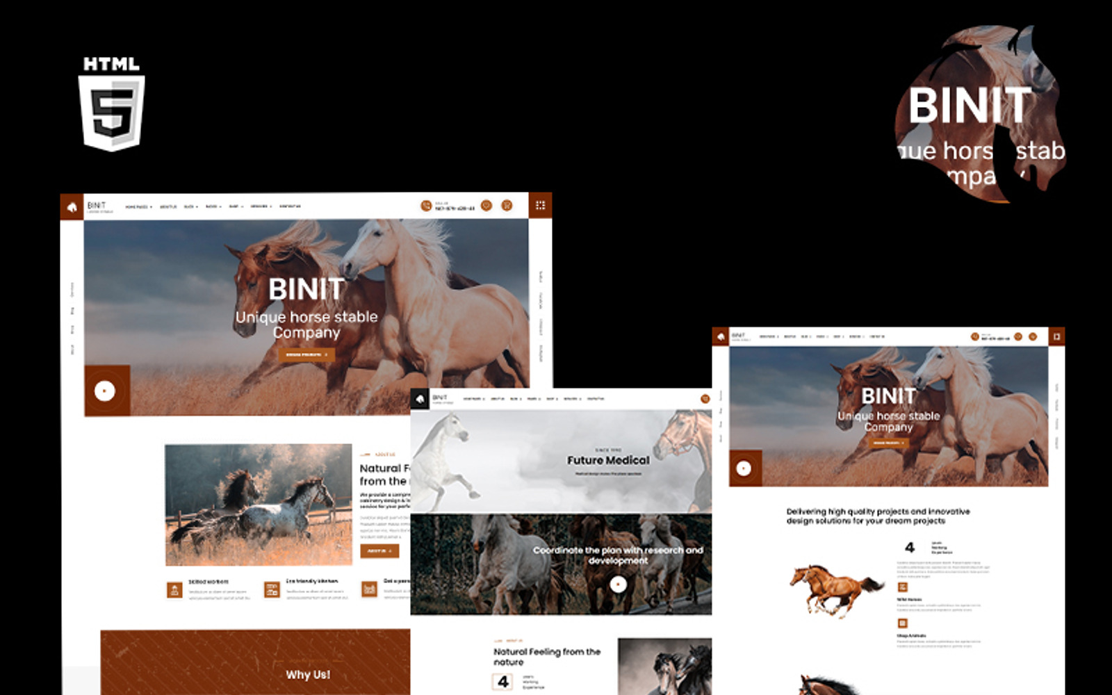 Binit Horses and Stables HTML5 Template - TemplateMonster