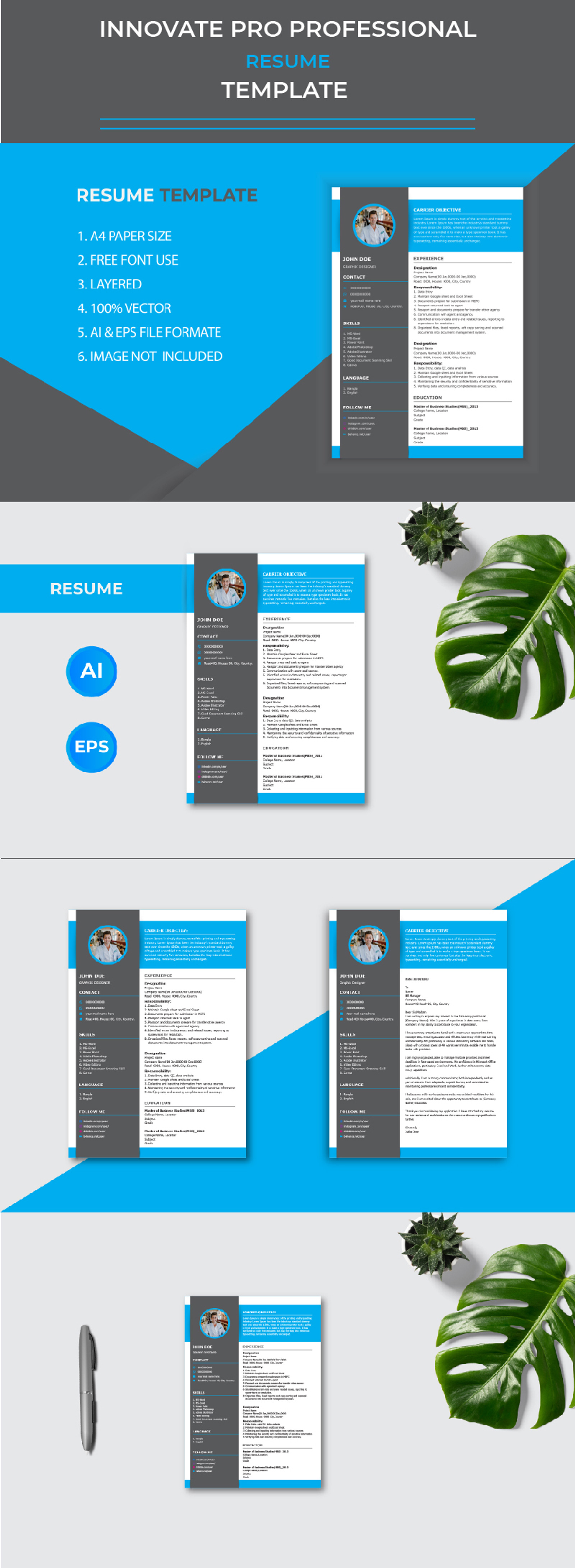 Innovate Pro Professional Editable Cv Resume Template
