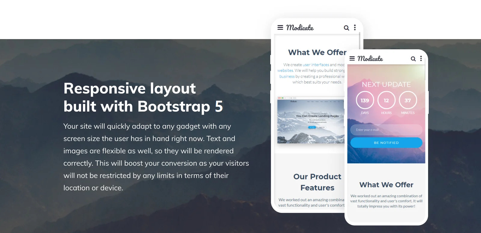 Modicate - Web Design Studio Website Template