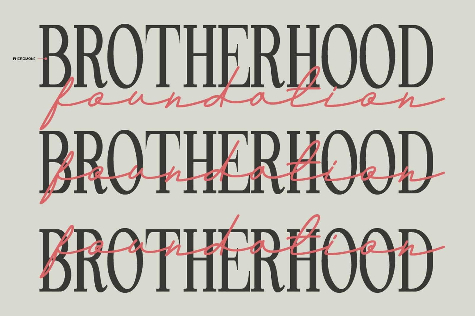 Andalusia a Beautiful Script Font #326932 - TemplateMonster