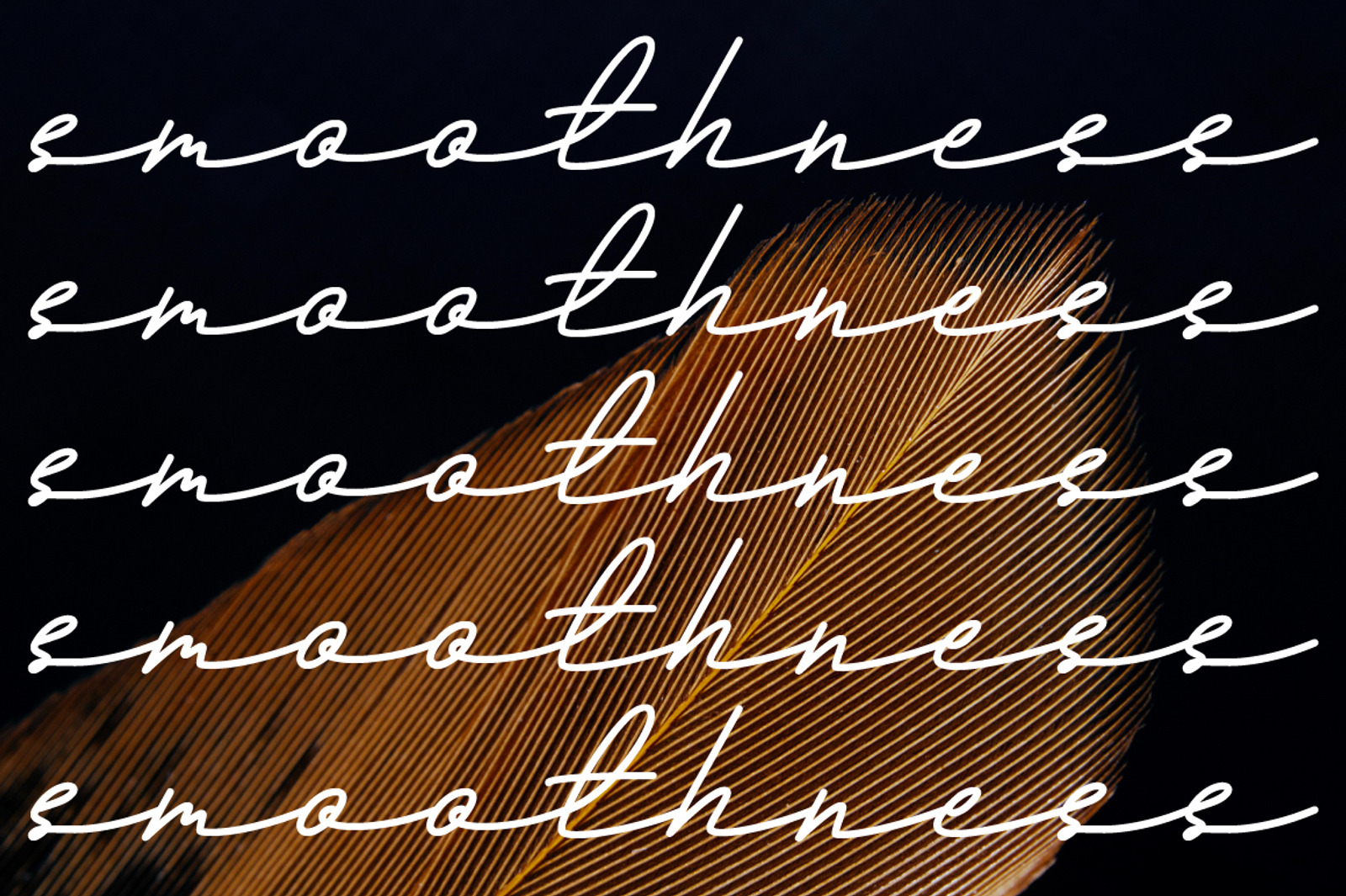 Andalusia a Beautiful Script Font #326932 - TemplateMonster