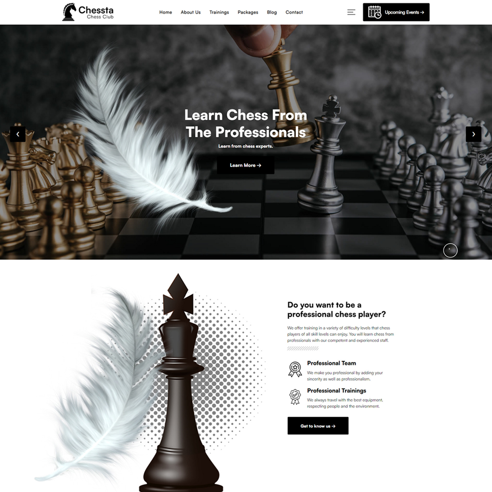 Chessta - Chess Club WordPress Theme - TemplateMonster