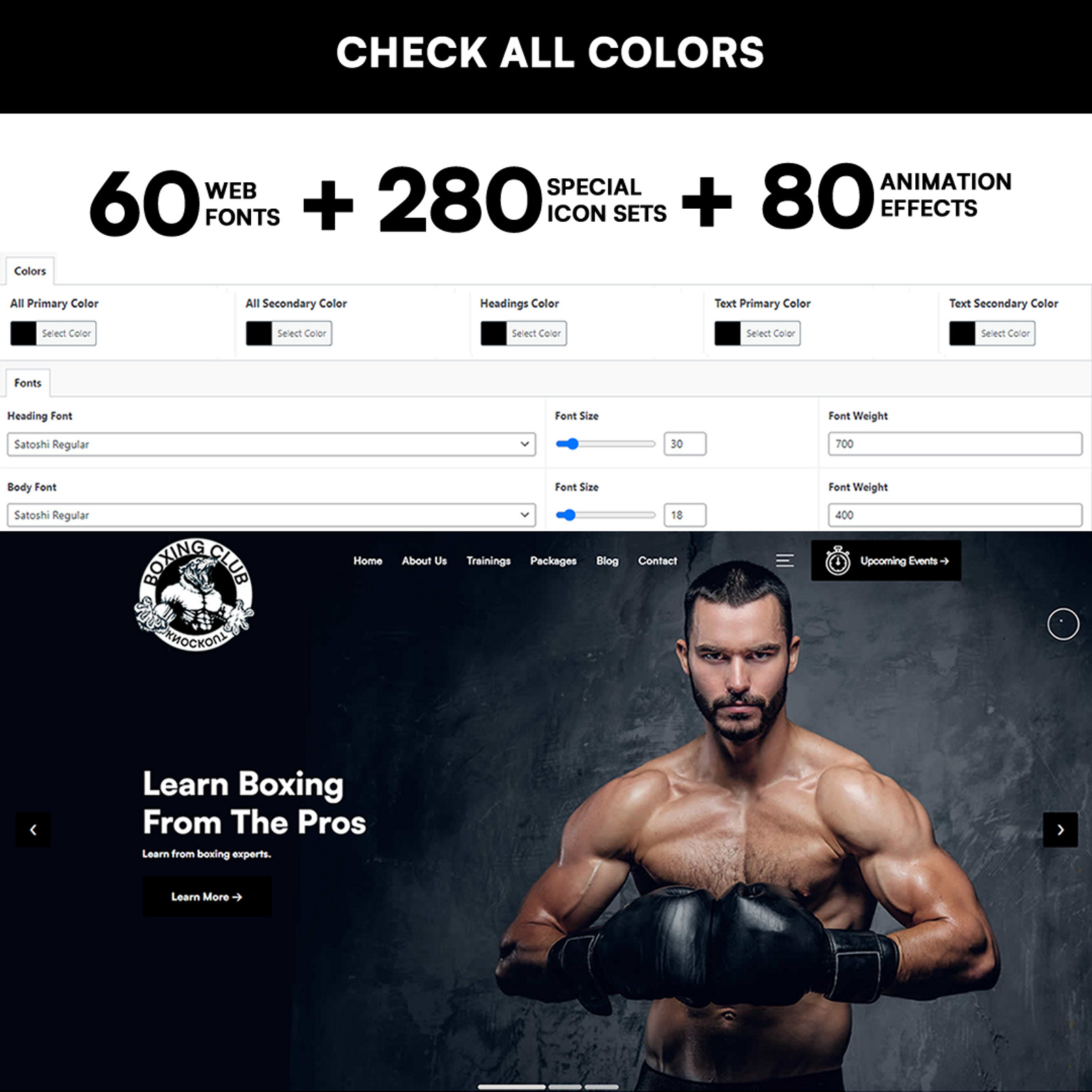 Knockout - Boxing Club WordPress Theme - TemplateMonster