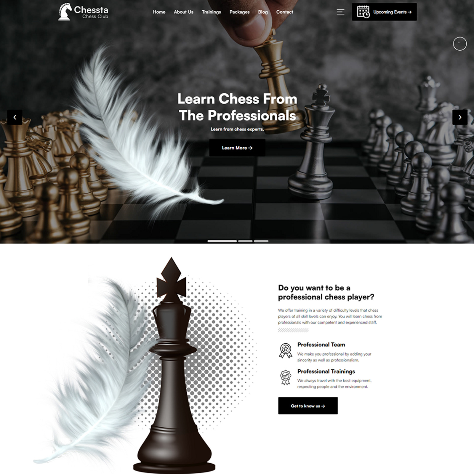 Chessta - Chess Club WordPress Theme - TemplateMonster