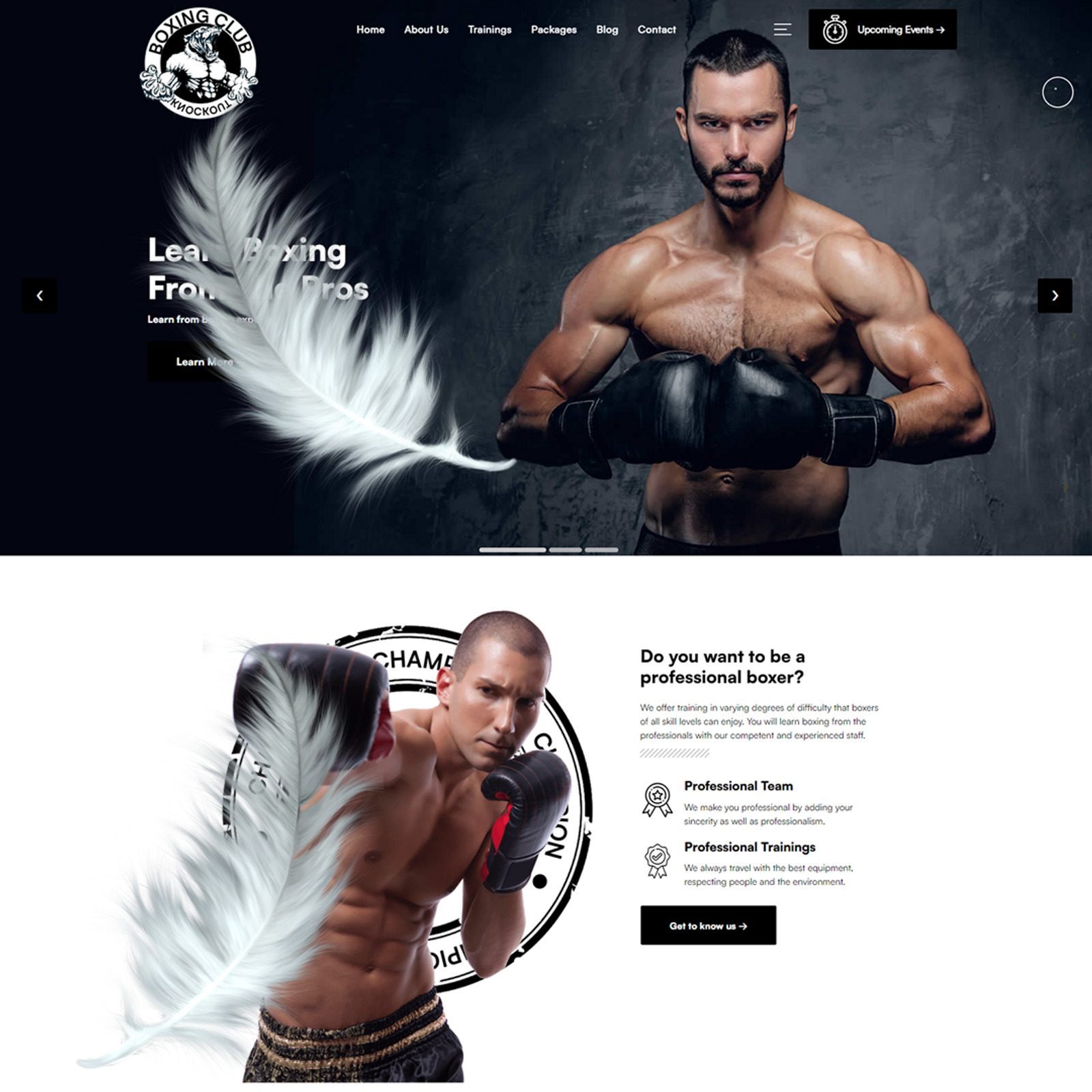 Knockout - Boxing Club WordPress Theme - TemplateMonster
