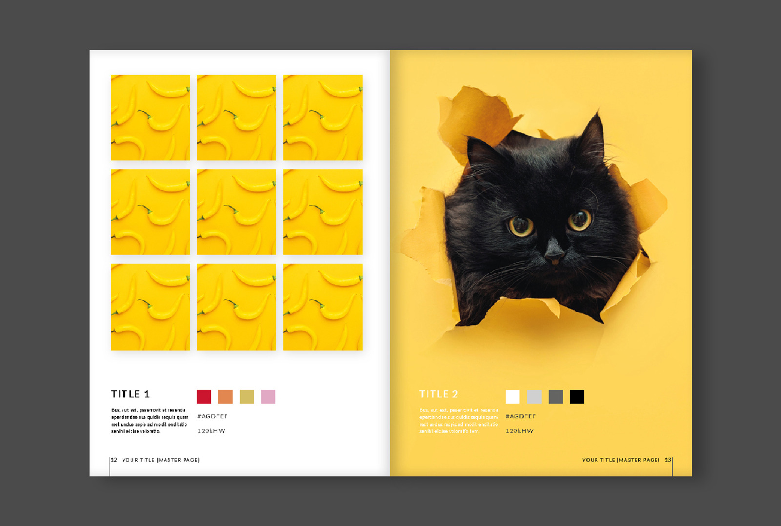 Catalog / Lookbook Layout MagazineTemplate - TemplateMonster