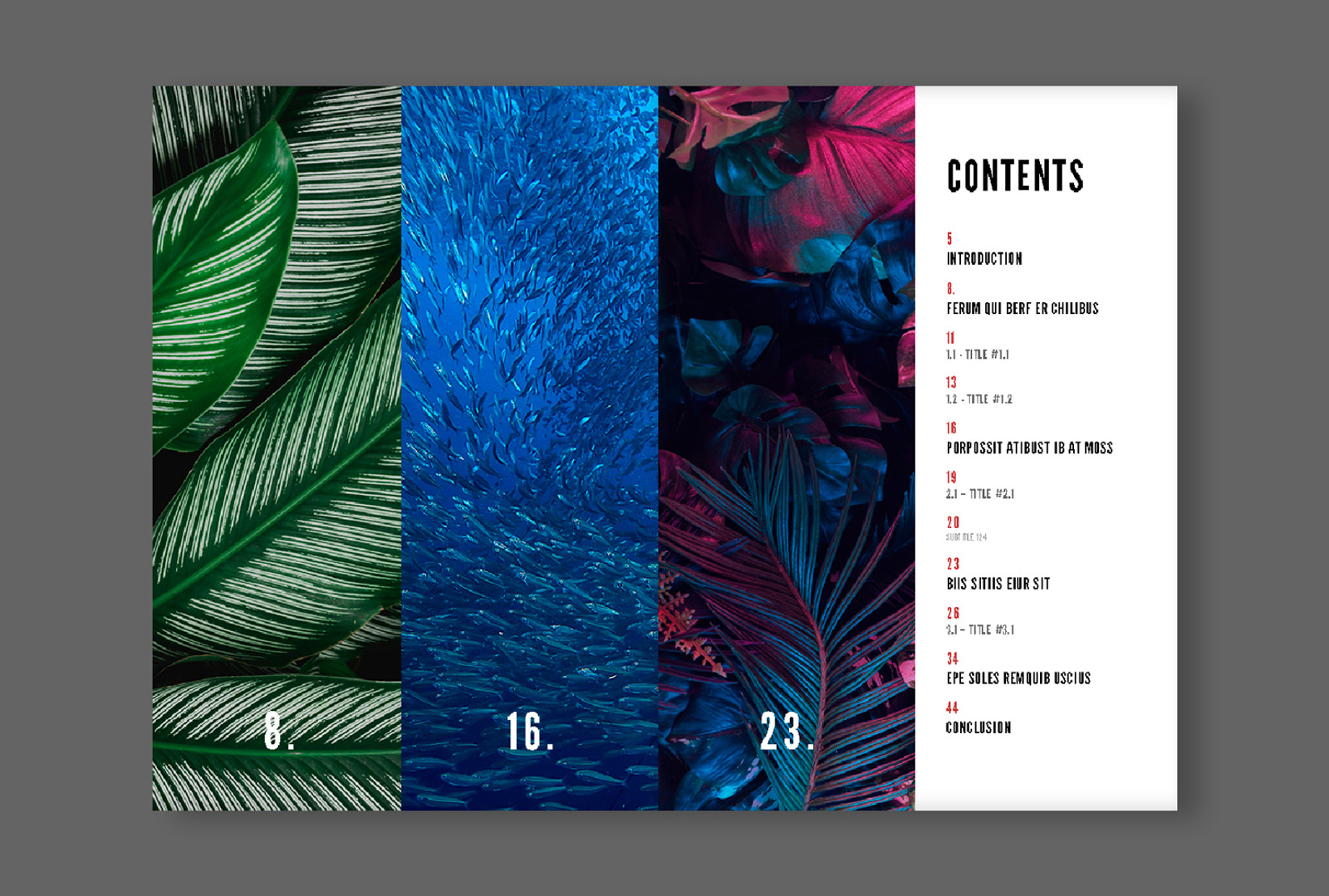 Book Layout Magazine Template #172064 - TemplateMonster
