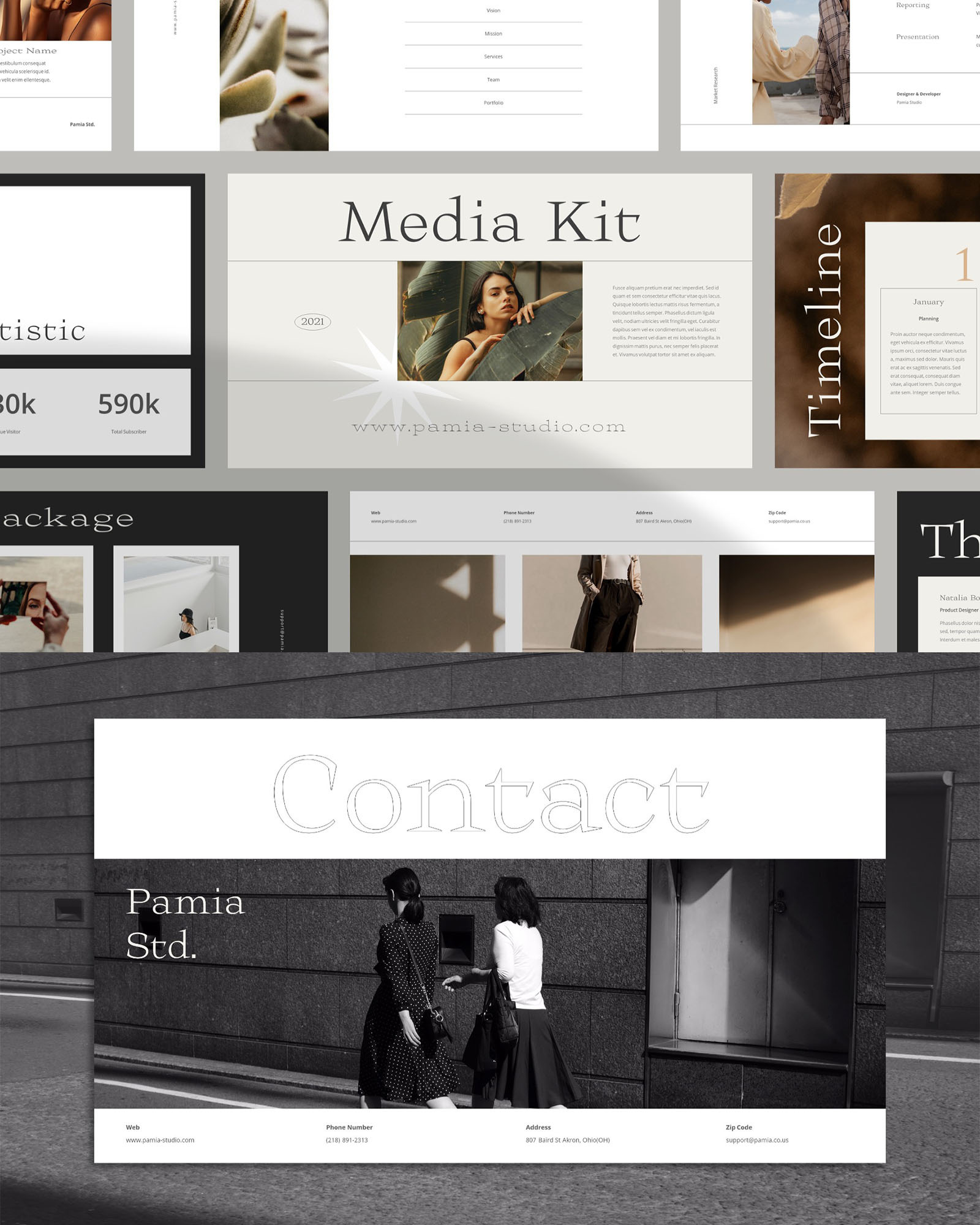 PAMIA Media Kit PowerPoint template #166538 - TemplateMonster