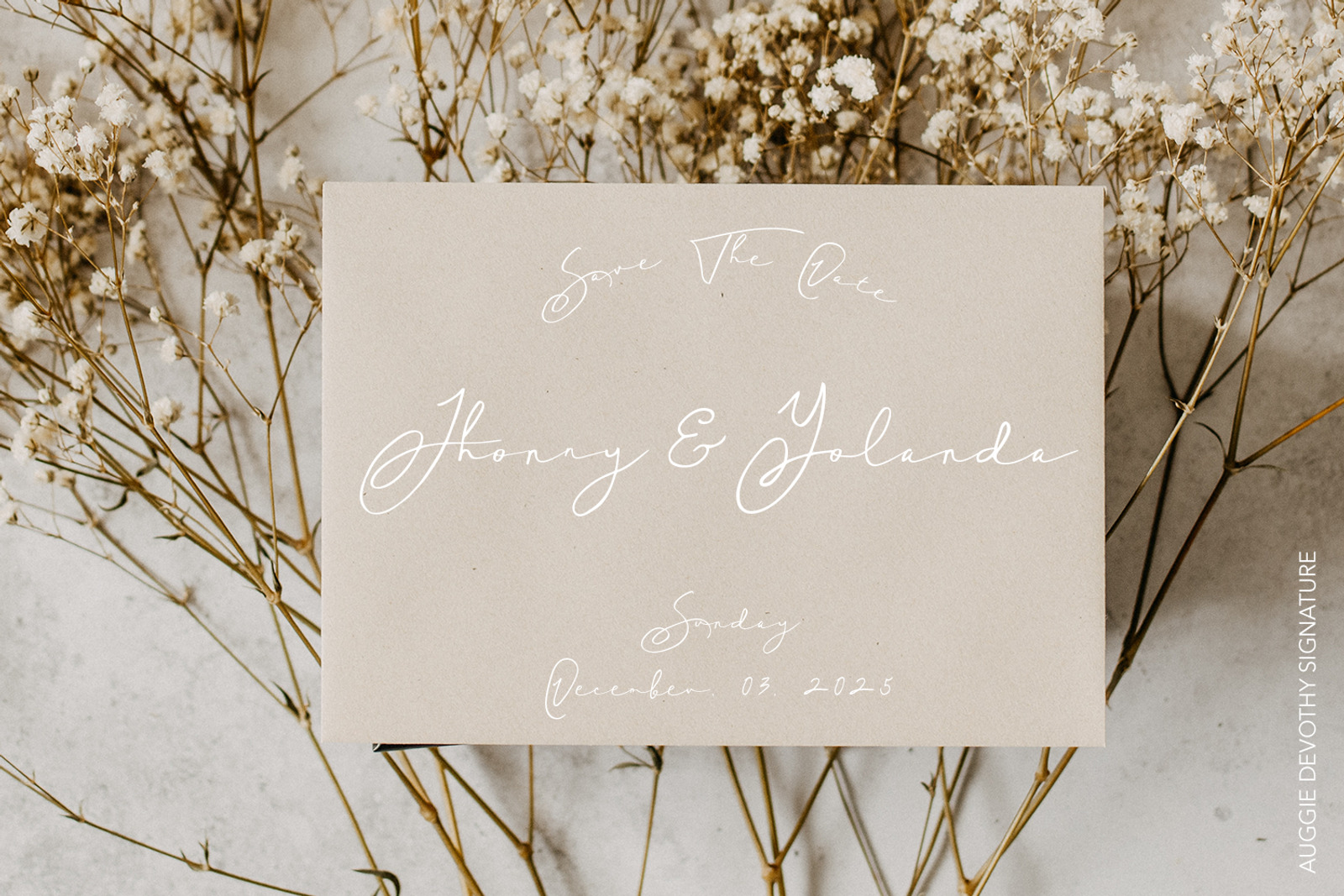 Auggie Devothy - Realistic Signature - TemplateMonster