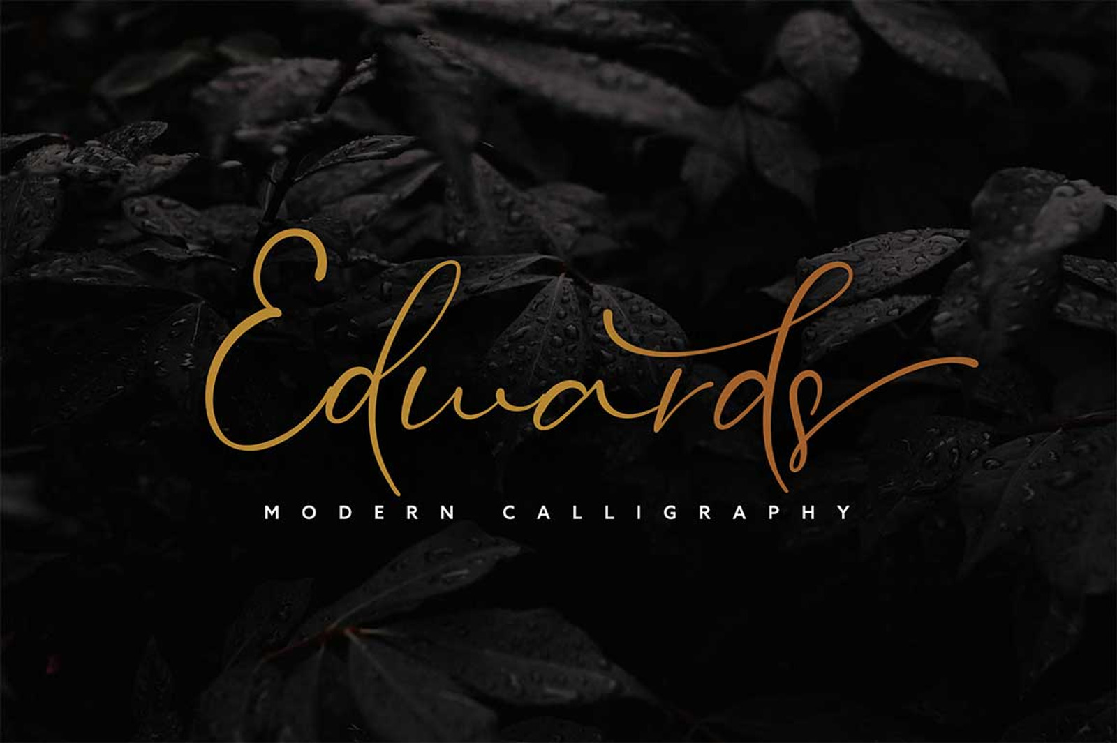 Edwards Casual Stylish Script Fonts #181973 - TemplateMonster