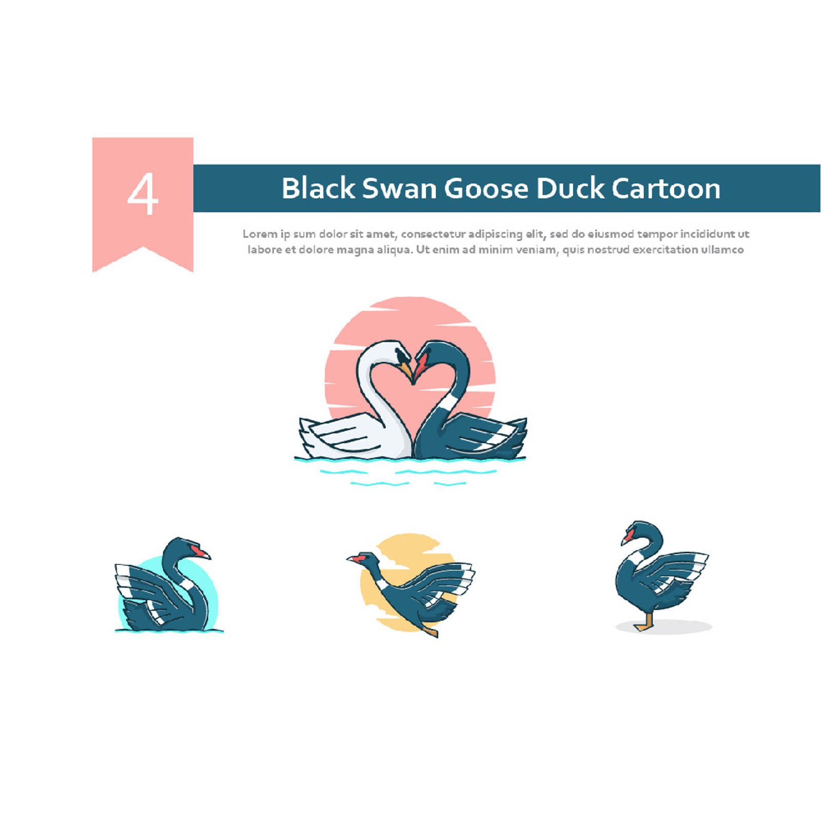 4 Black Swan Goose Duck Cartoon Illustration