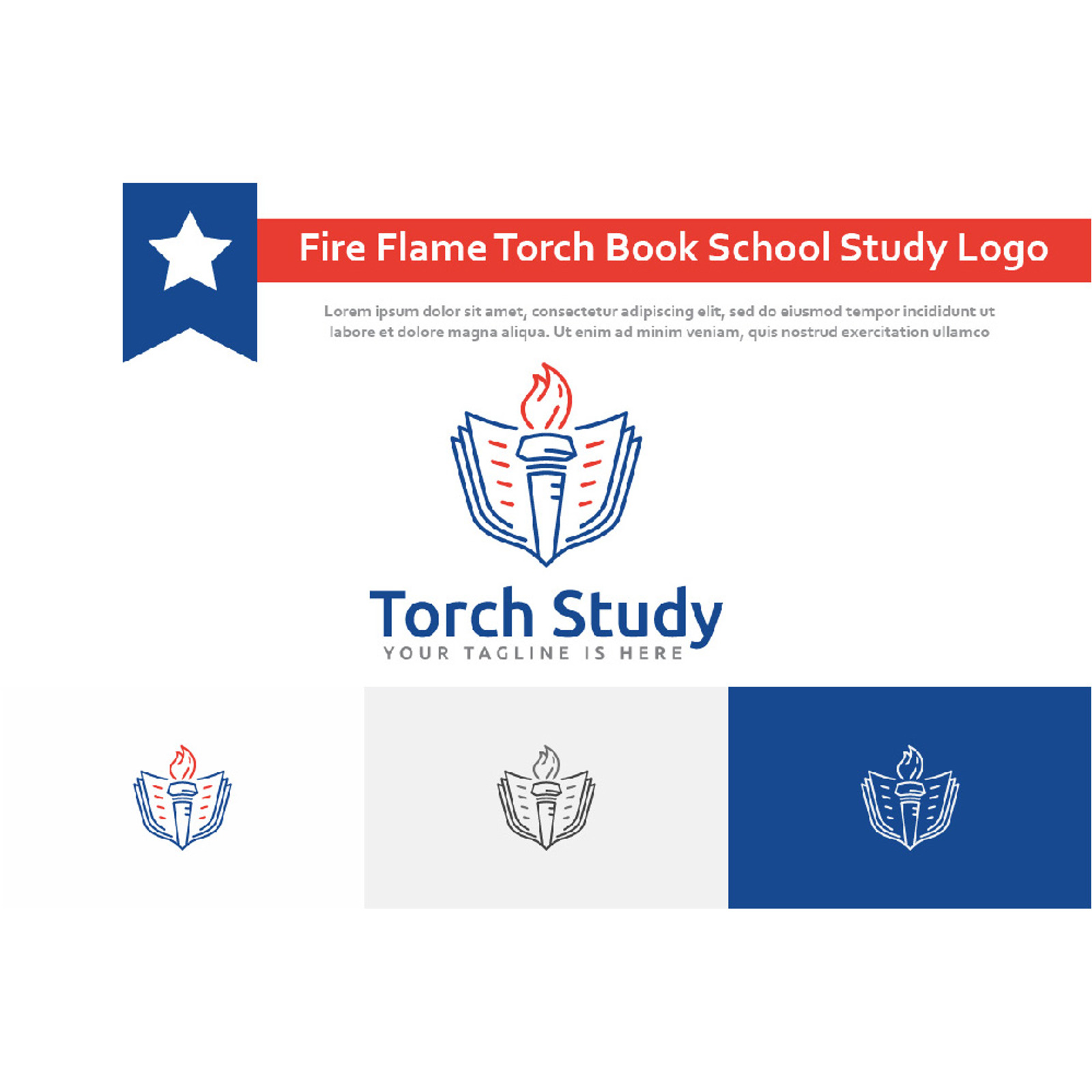 Light Fire Flame Torch Book School Study Education Line Logo
