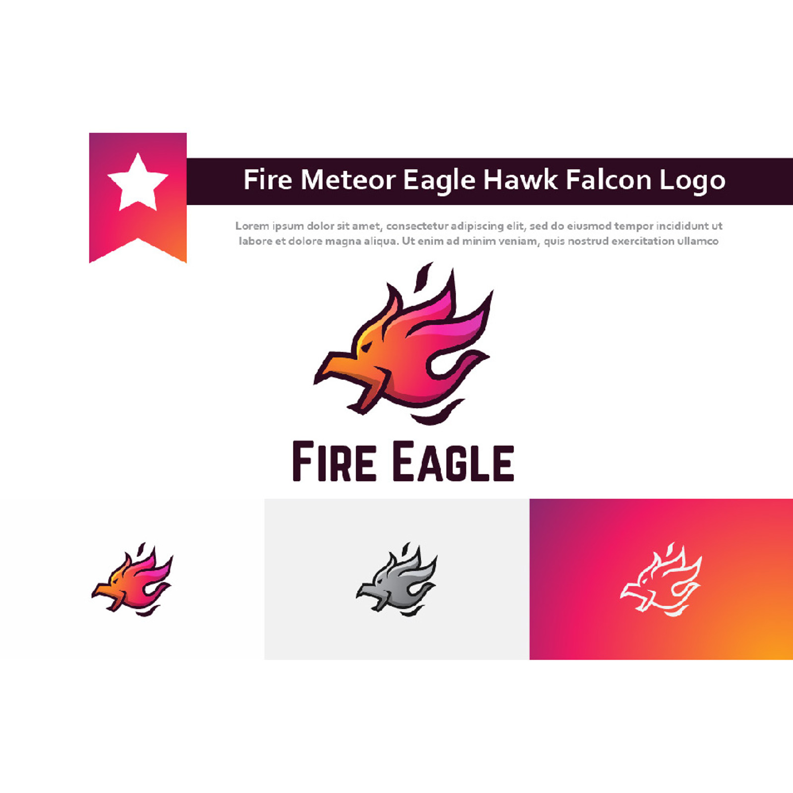 Fire Flame Comet Meteor Burn Eagle Hawk Falcon Logo