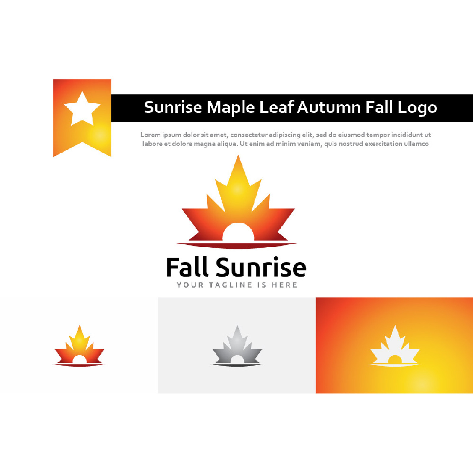 Beautiful Sunrise Maple Leaf Autumn Fall Season Nature Logo