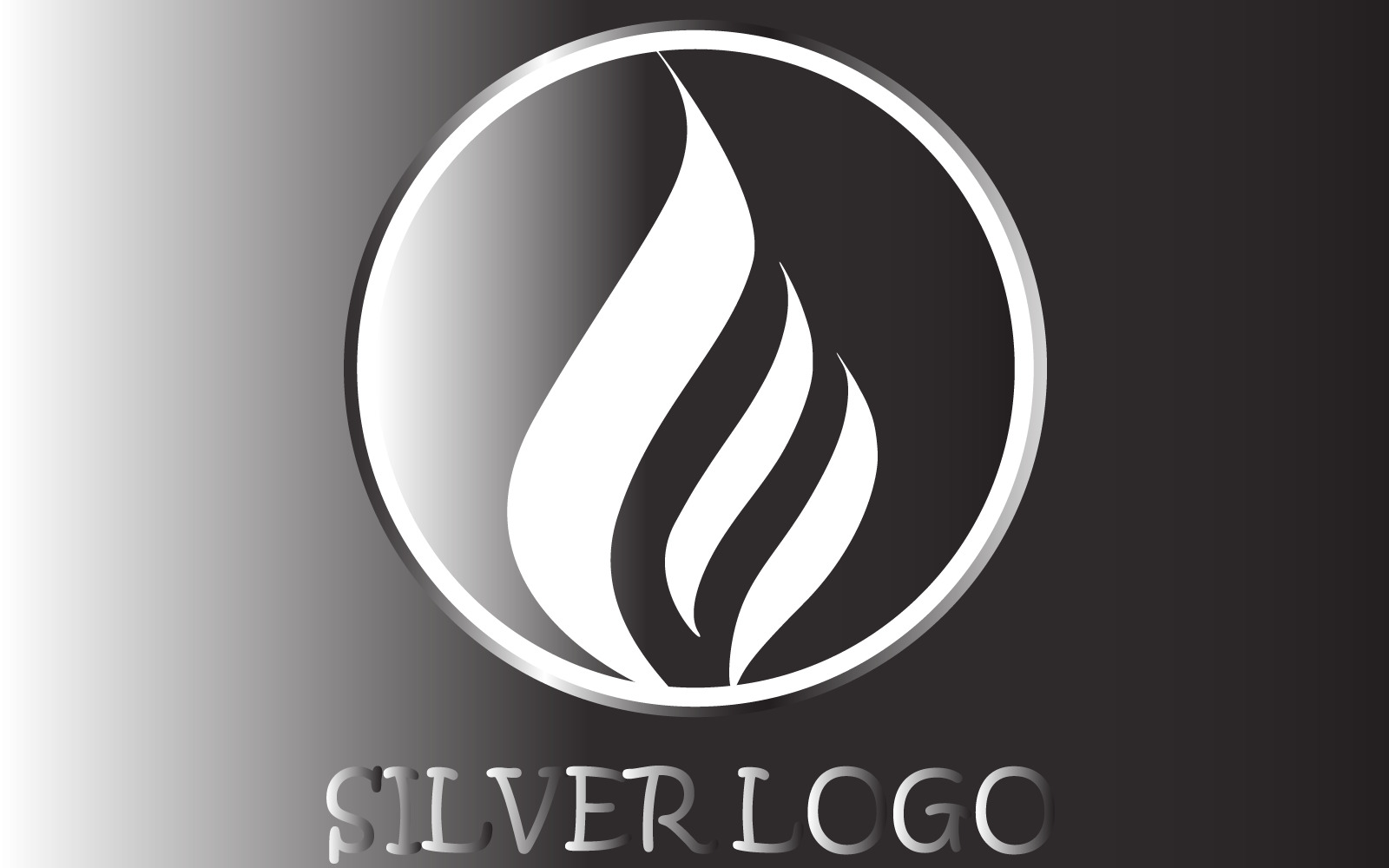 A Silver Shadow Logo Reveal- After Effects Template