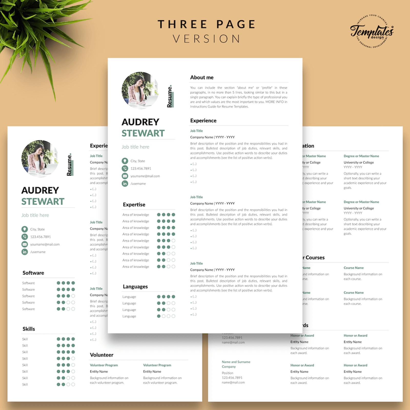 Audrey Stewart - Modern CV Resume Template with Cover Letter for ...