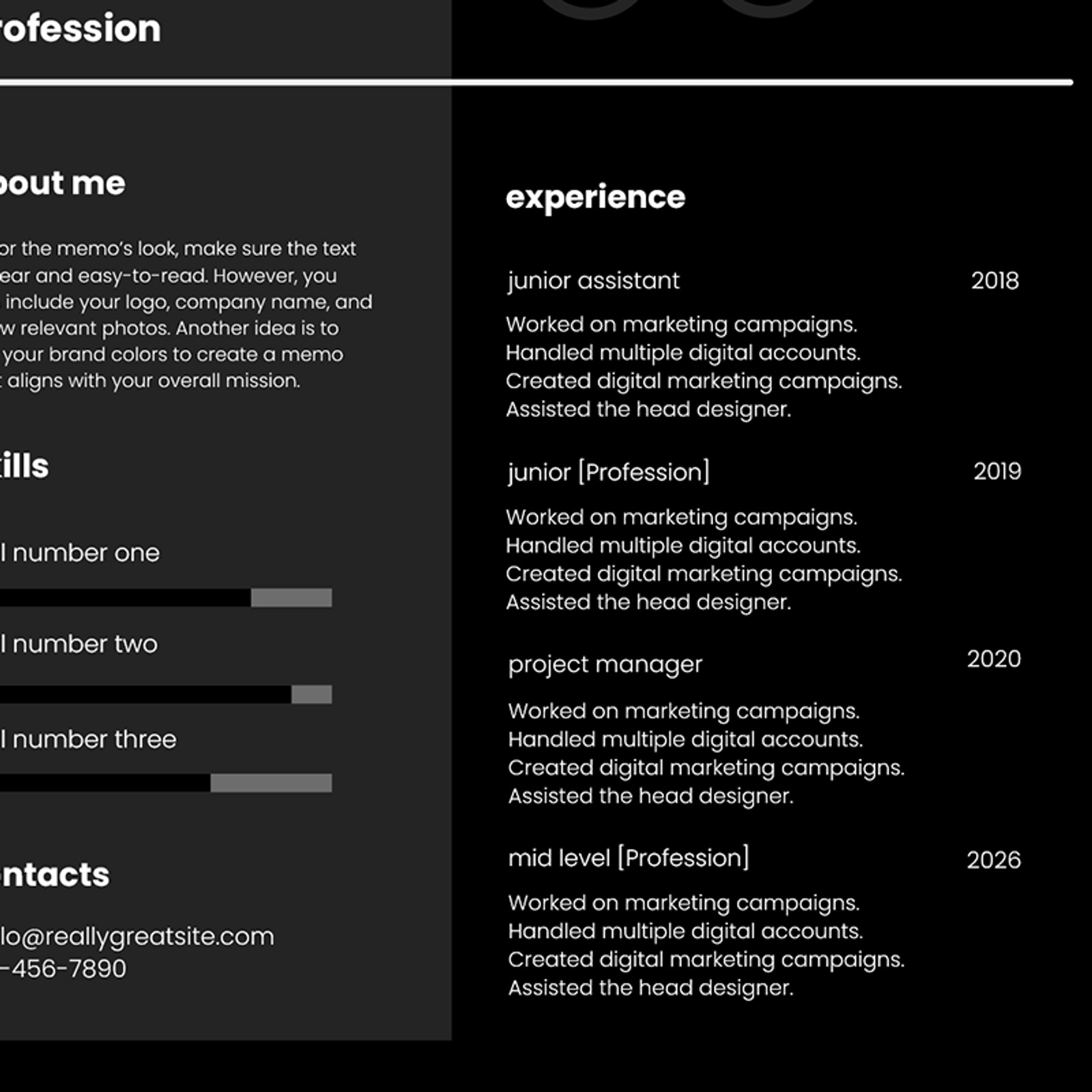 Professional Work Resume Template file - TemplateMonster
